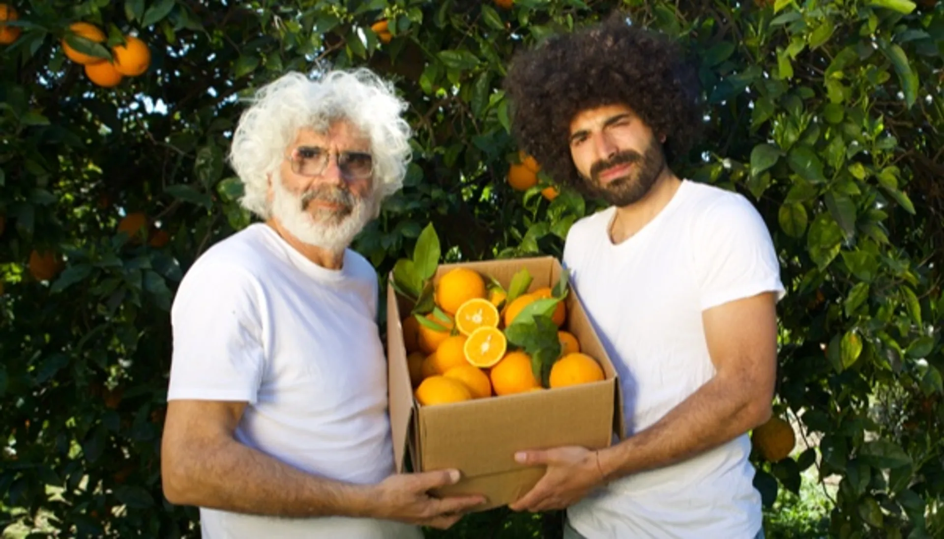 Adopt a tree from a farmer | CrowdFarming