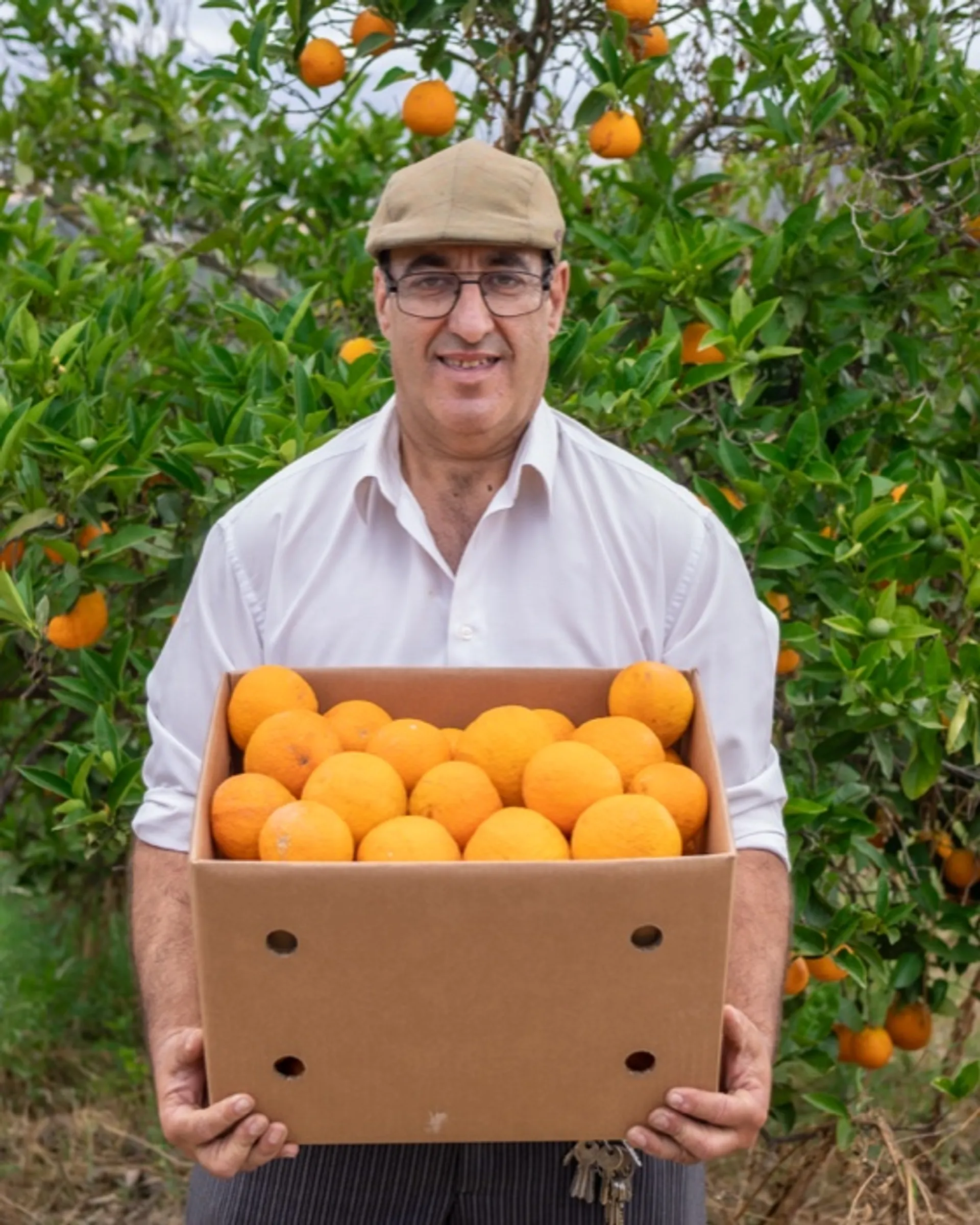Organic Oranges From Finca El Conde Spain CrowdFarming Farm Fresh