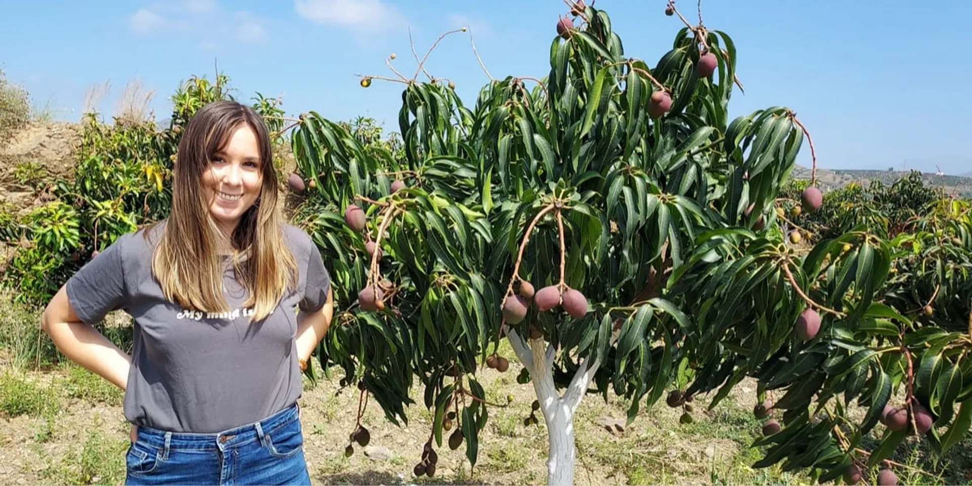 Sensation mangos from Finca Los Pepones, Spain | CrowdFarming: adopt a ...