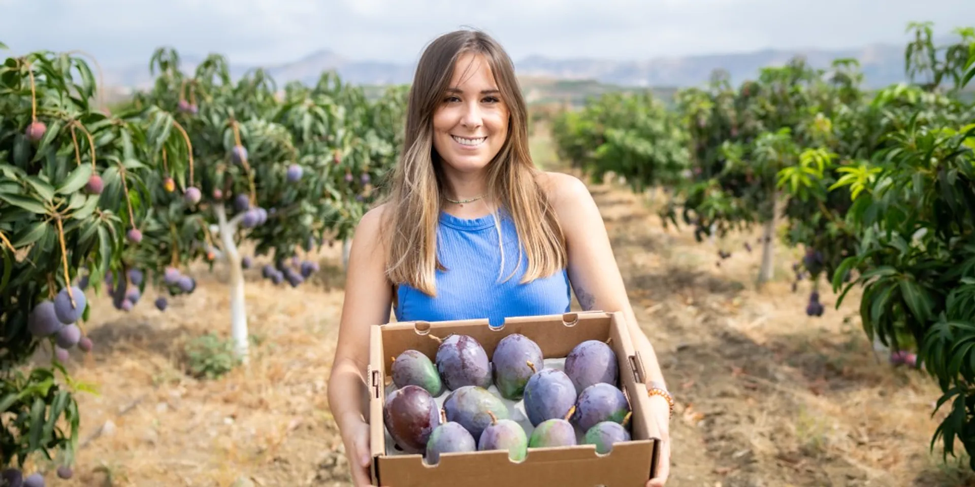Sensation mangos from Finca Los Pepones, Spain | CrowdFarming: adopt a ...