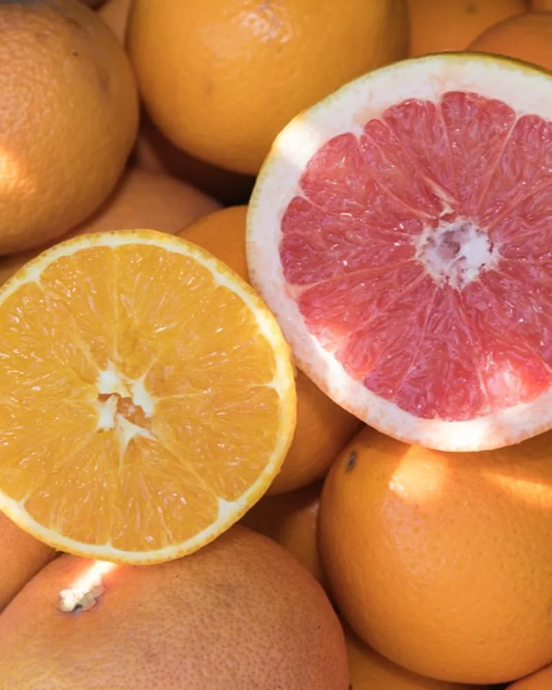 Oranges et pamplemousses BIO de Cortijo La Palmosa, Espagne ...