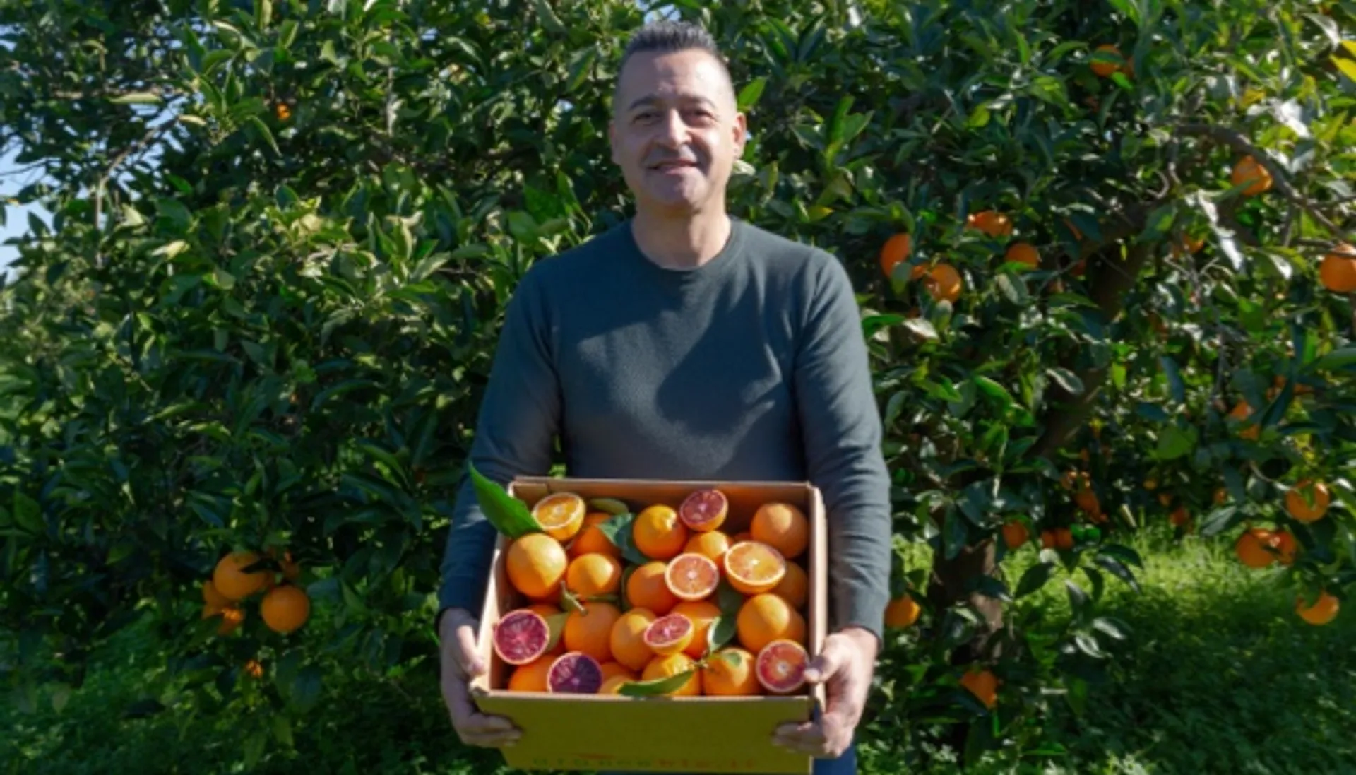 CrowdFarming | Farm fresh food directly from the farmer