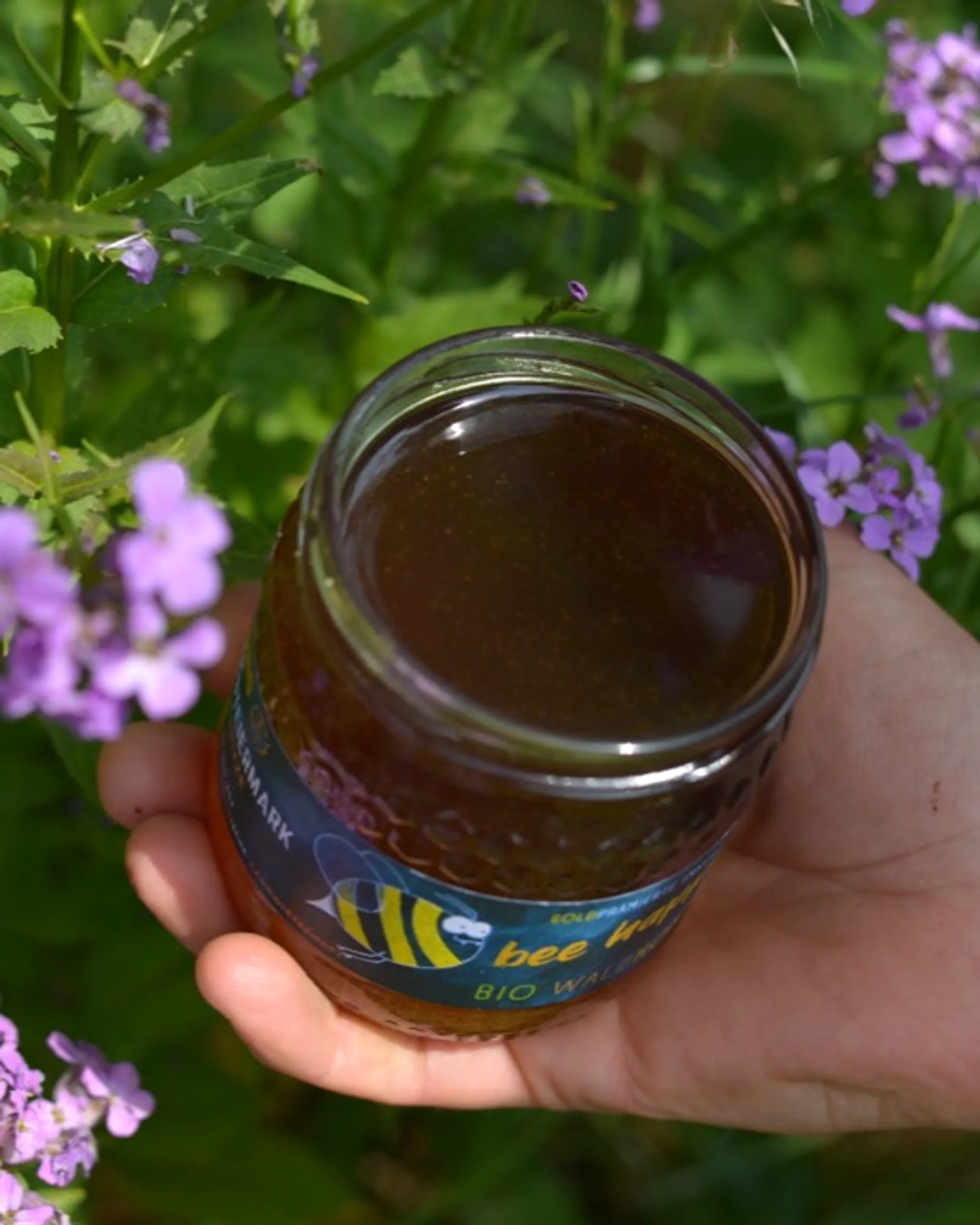 von , |CrowdFarming: Honig direkt vom Imker