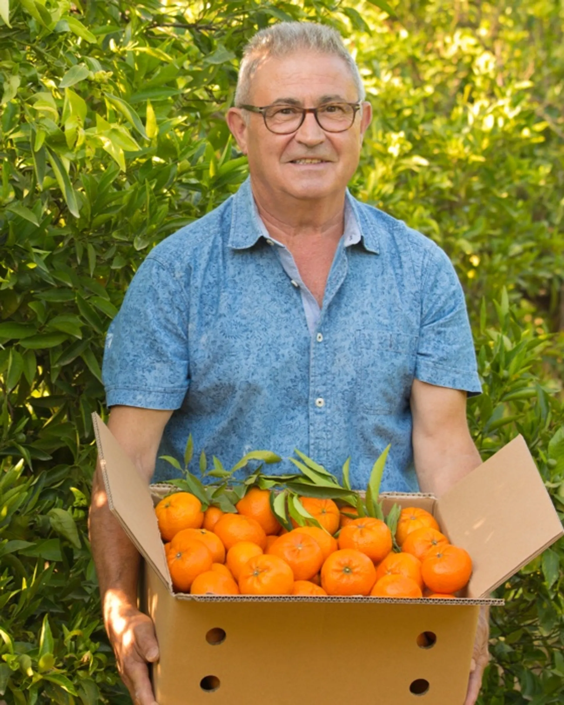 Clementines from CABET, Spain | CrowdFarming: farm fresh fruits and ...