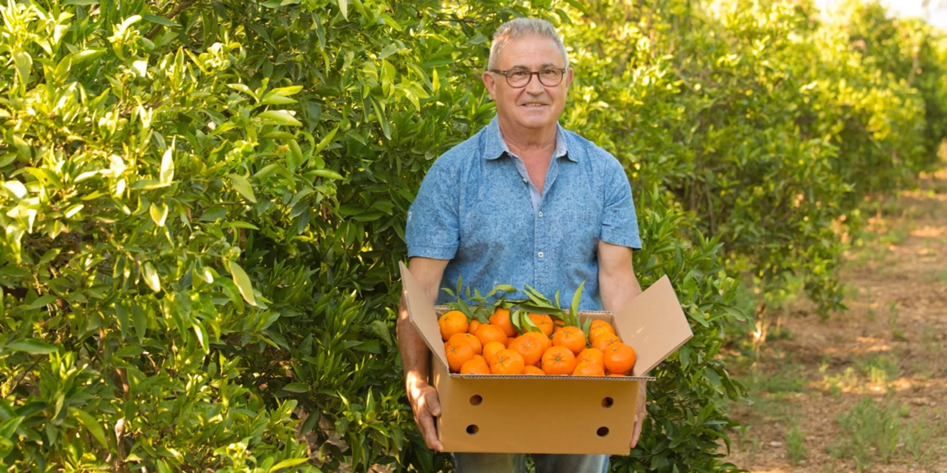 Organic clementines from CABET, Spain | CrowdFarming: farm fresh fruits ...