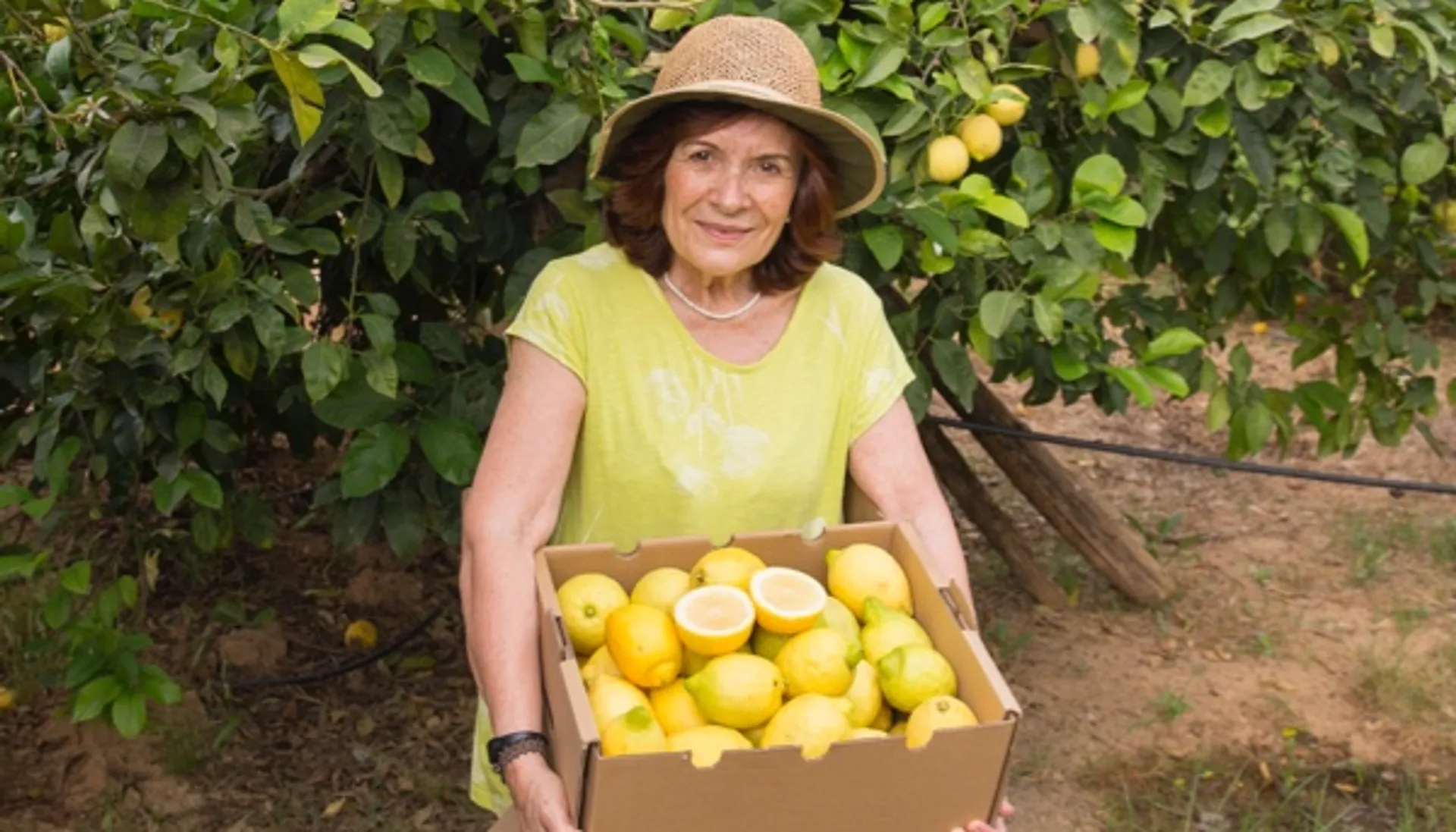 Adoptiere einen Baum, ein Feld, ein Tier, erhalte Ernte | CrowdFarming
