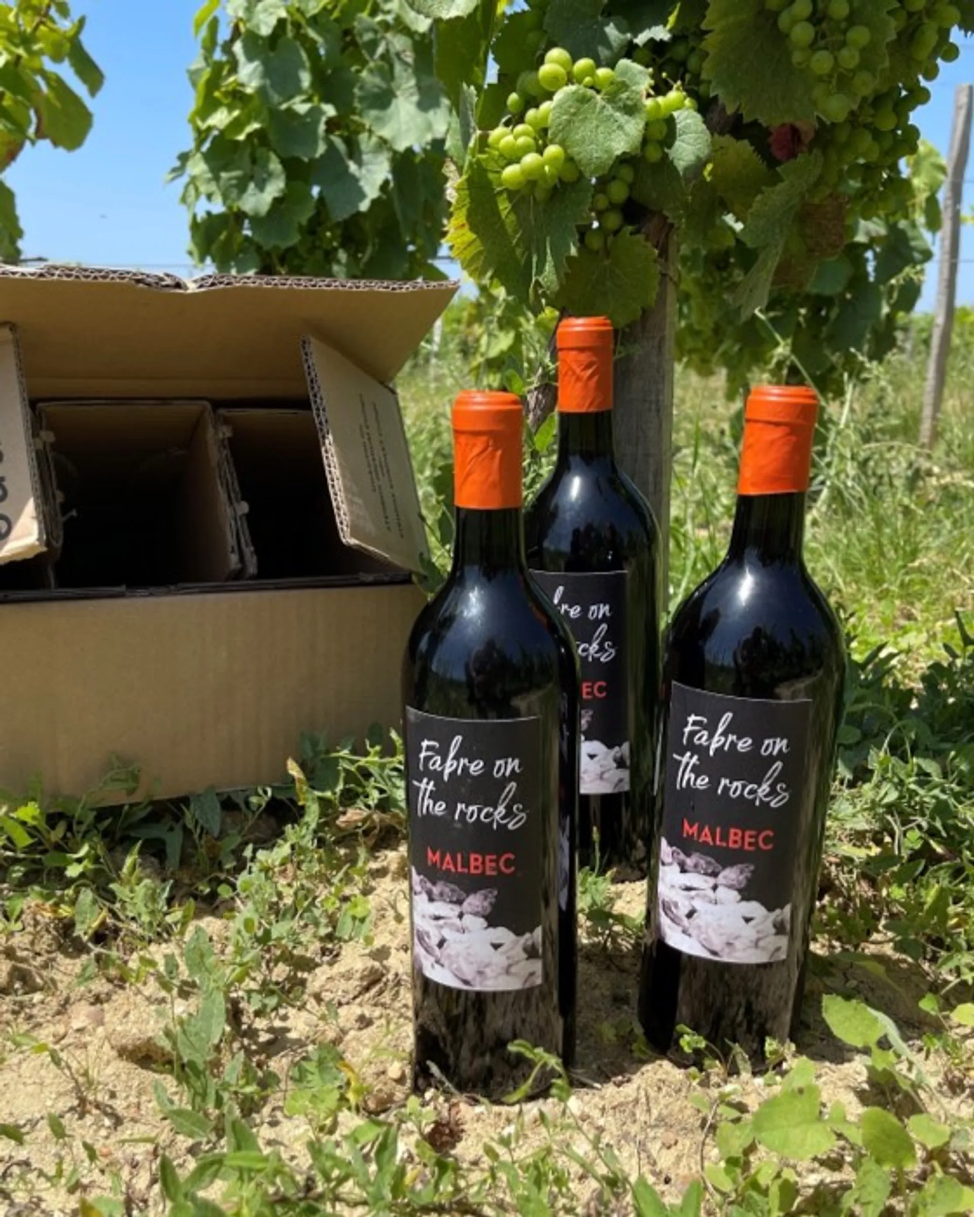 Red wine Malbec Fabre on the Rocks AOC Haut-Médoc from Château Lamothe ...