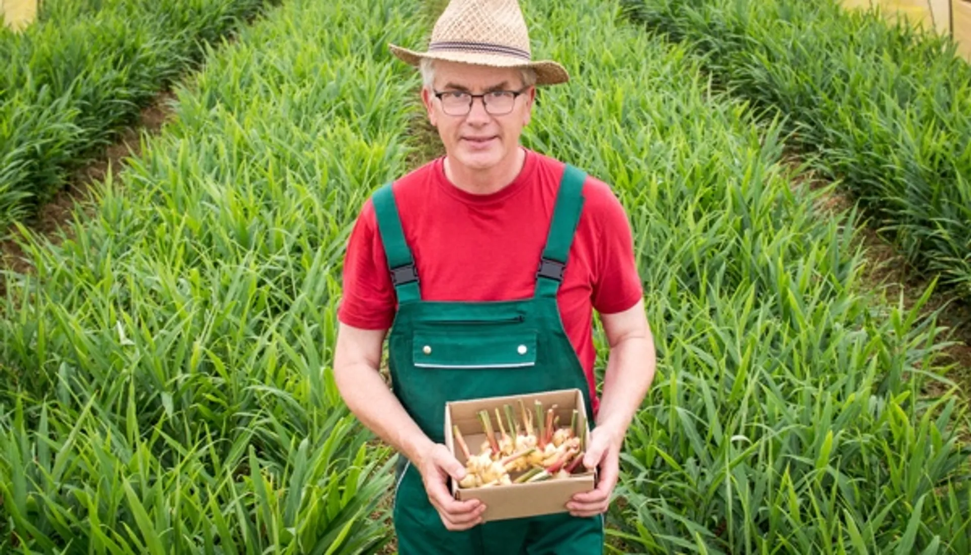 Adoptiere einen Baum, ein Feld, ein Tier, erhalte Ernte | CrowdFarming