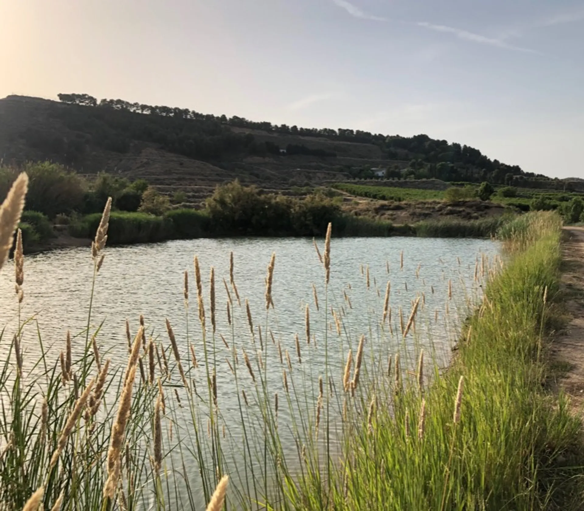 Organic apples van Know Jou Bio, Spanje | CrowdFarming: adopteer an ...