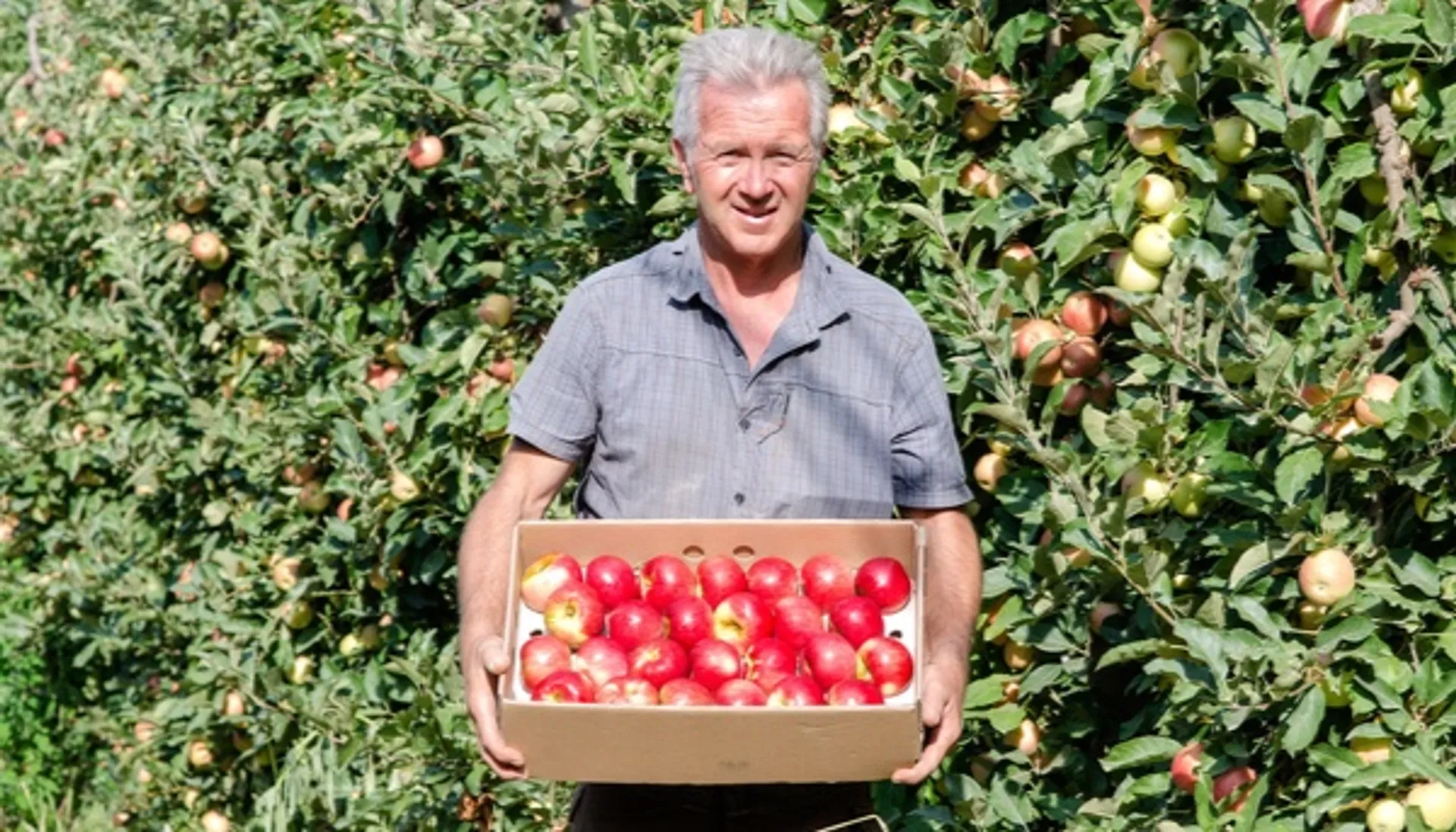 CrowdFarming | Farm fresh food directly from the farmer