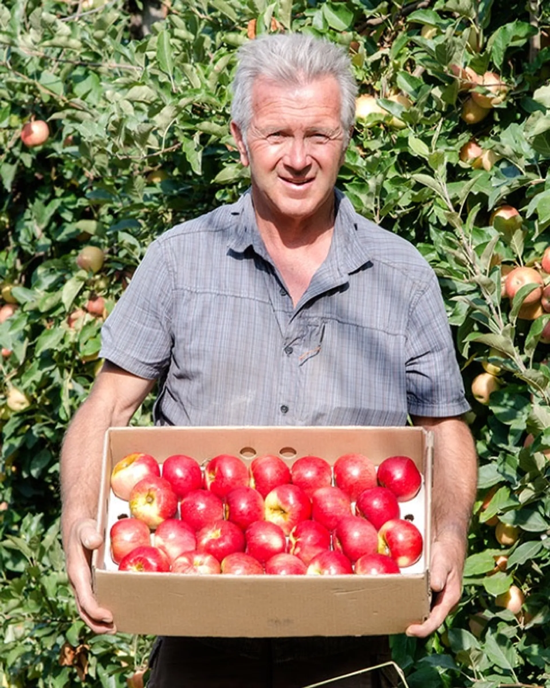 Regenerative Demeter organic apples van Saint Félix, Frankrijk ...