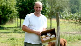CrowdFarming | Farm fresh food directly from the farmer