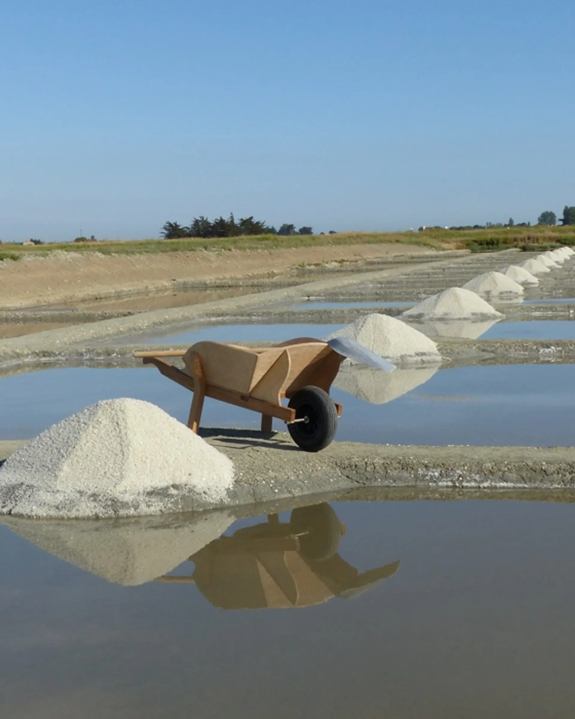 Fleur de sel et gros sel marin de Le Marais Saillant, France ...