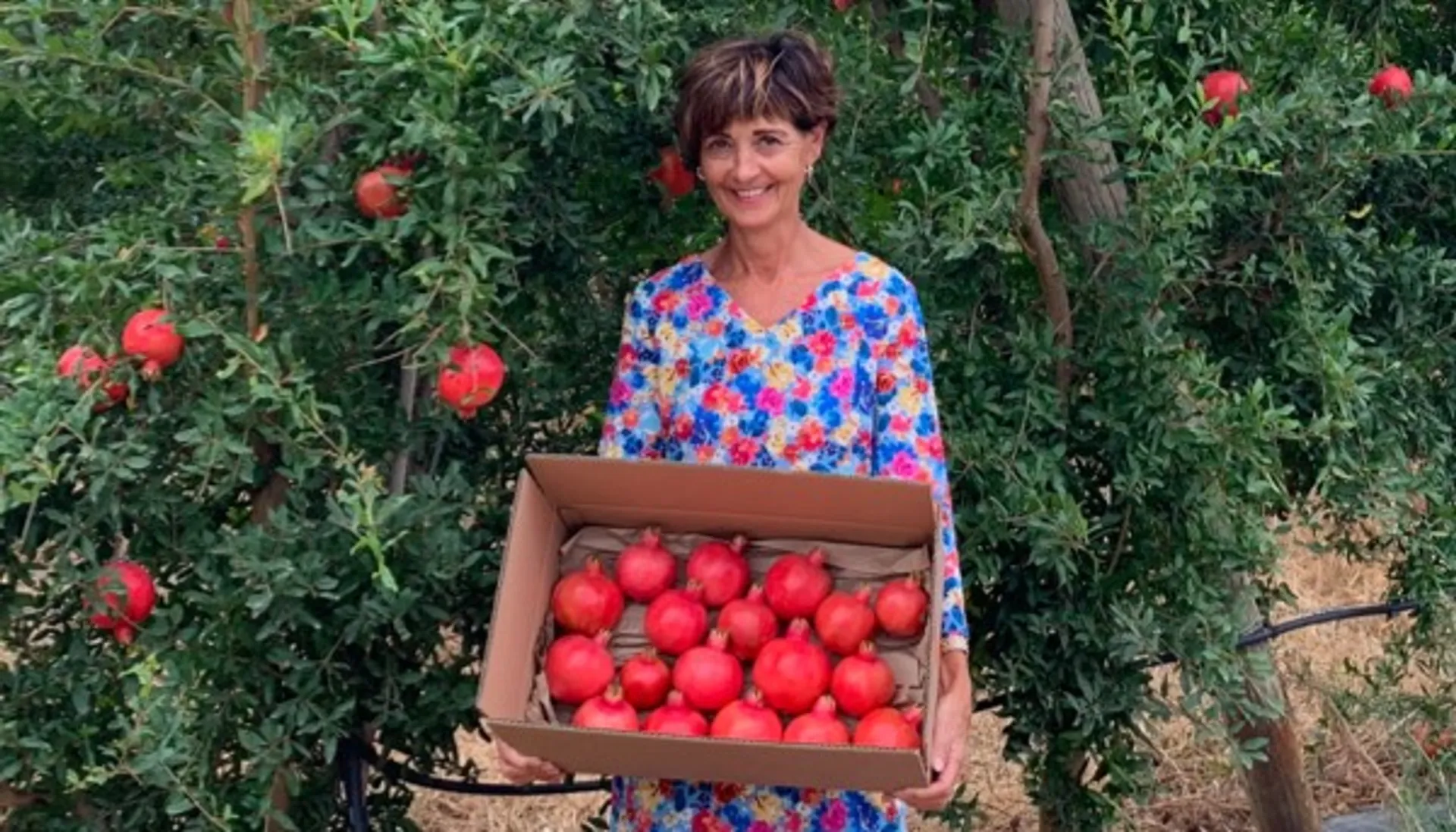 Adopt a tree from a farmer | CrowdFarming