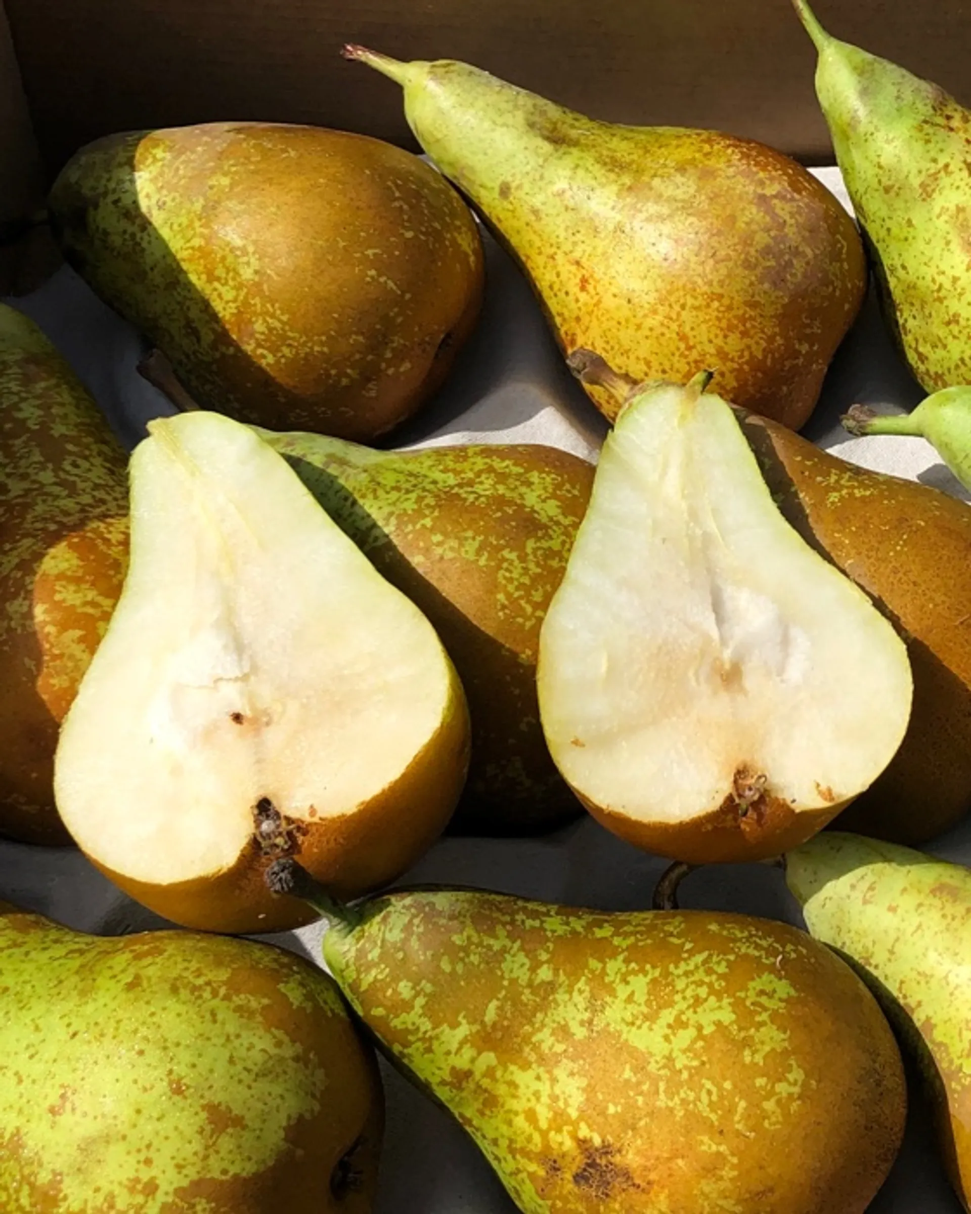 Organic pears van Know Jou Bio, Spanje | CrowdFarming: groenten en ...