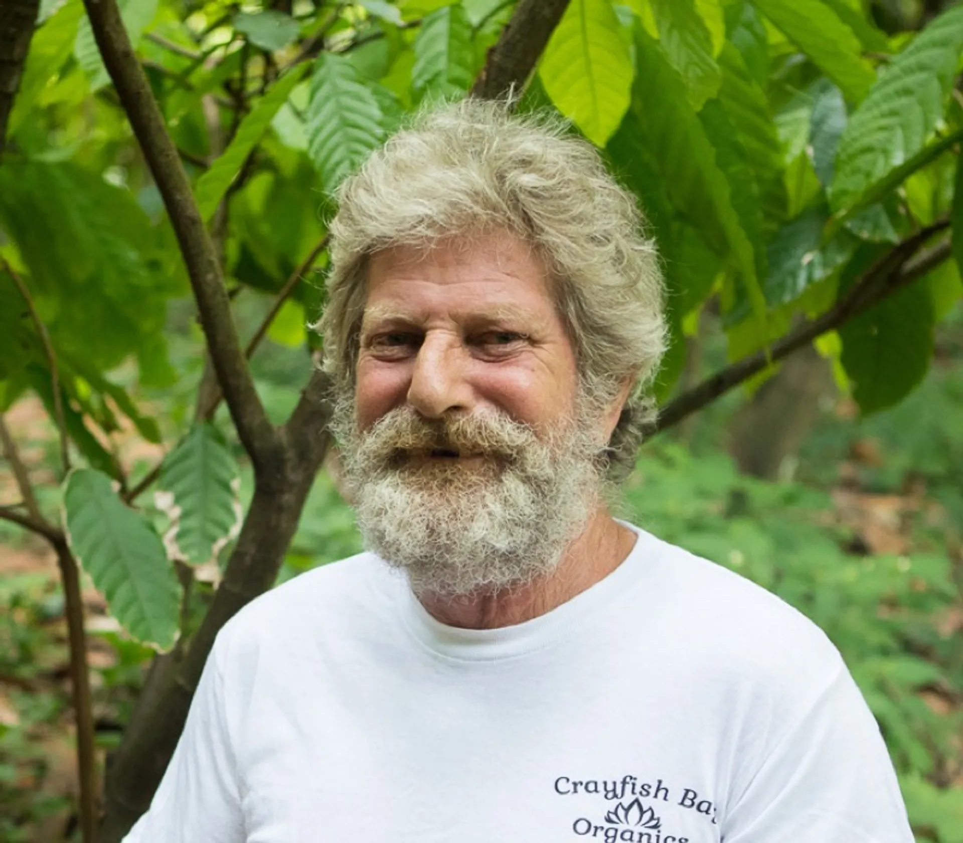 Repen biologische zwarte chocolade uit het Caribisch gebied van ...