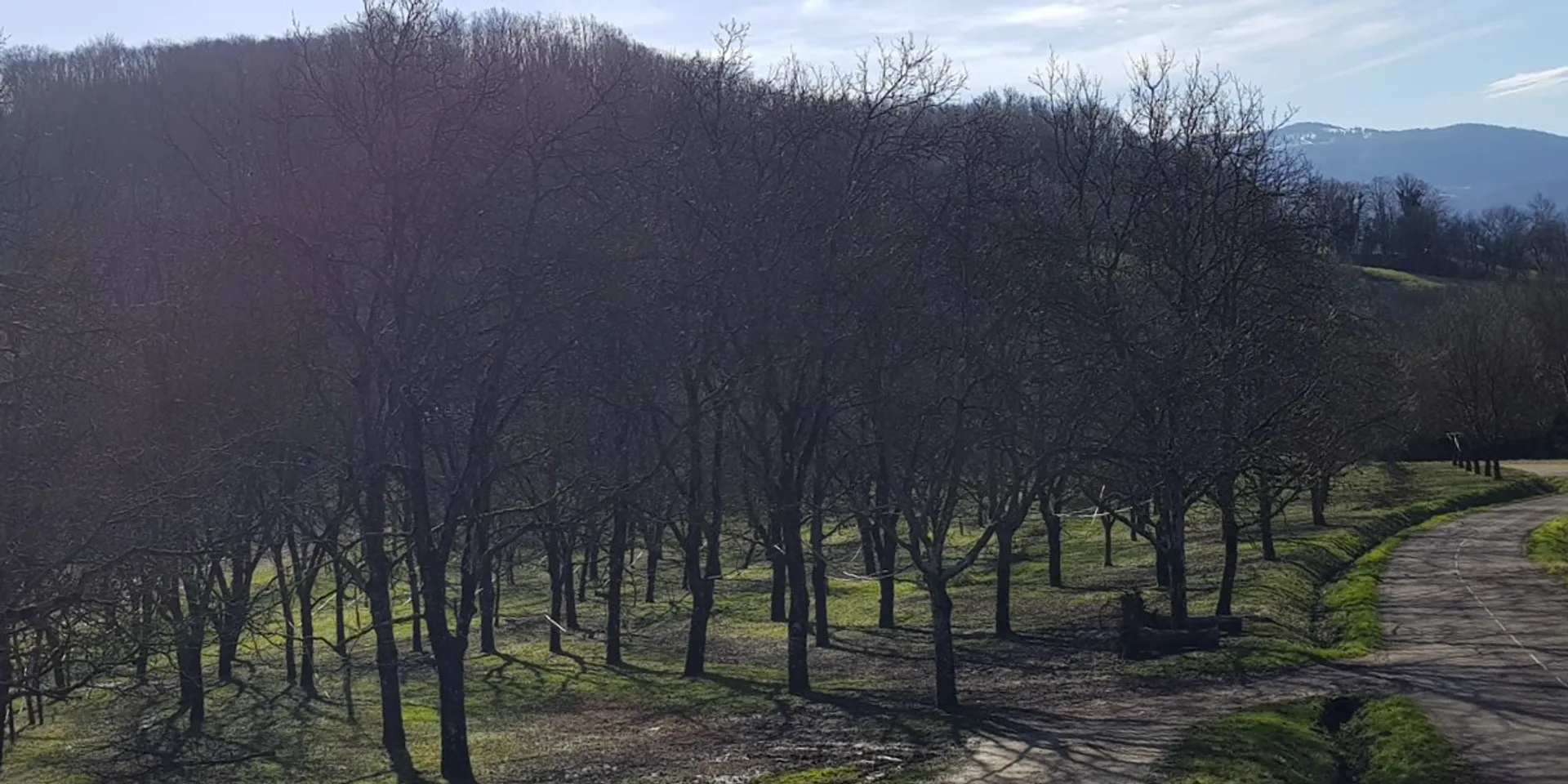 Organic walnuts from Merveilleuses Noix, France | CrowdFarming: adopt a ...