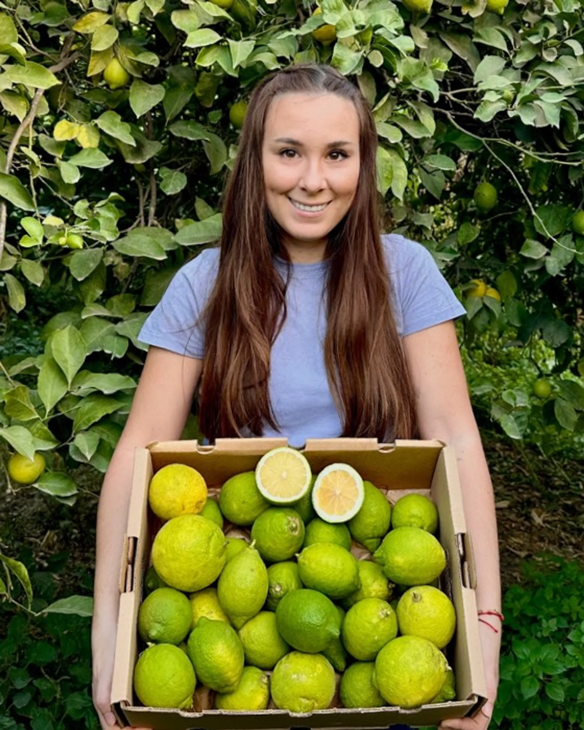 Regenerative organic lemons from Finca El Chifle, Spain | CrowdFarming ...