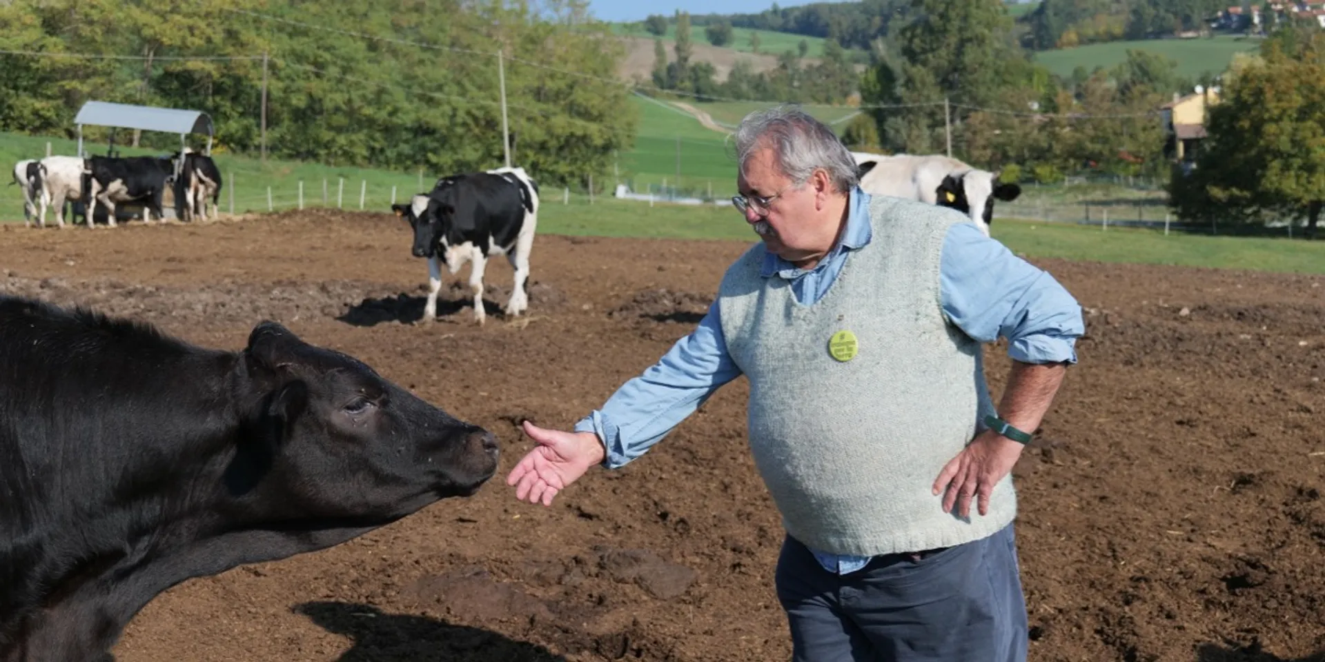 Parmigiano Reggiano BOB beperkte productie van Santa Rita Bio ...