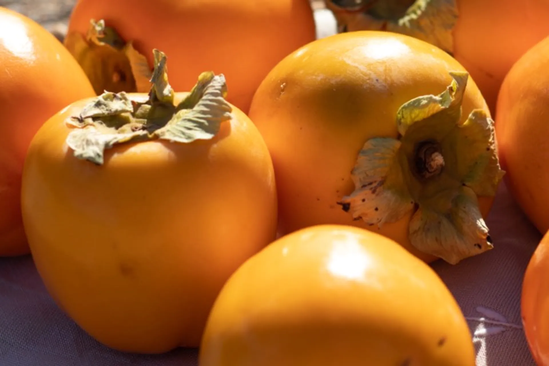 Caqui De Verger De Alicia Espa a CrowdFarming Fruta Y Verdura A caqui-de-verger-de-alicia-espa-a-crowdfarming-fruta-y-verdura-a