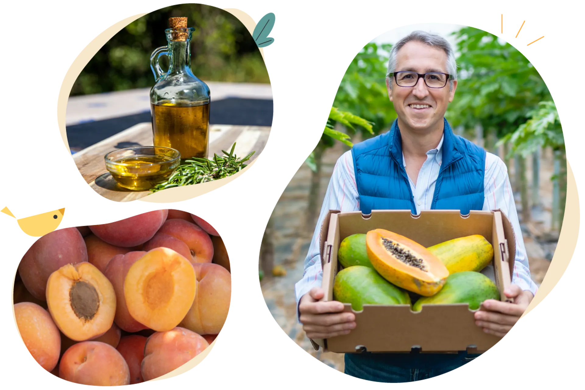 CrowdFarming | Farm fresh food directly from the farmer