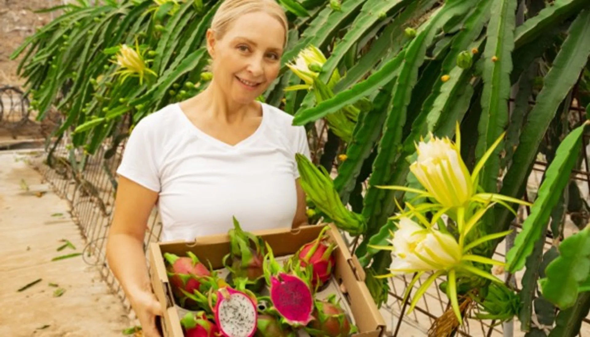 Adoptiere einen Baum, ein Feld, ein Tier, erhalte Ernte | CrowdFarming