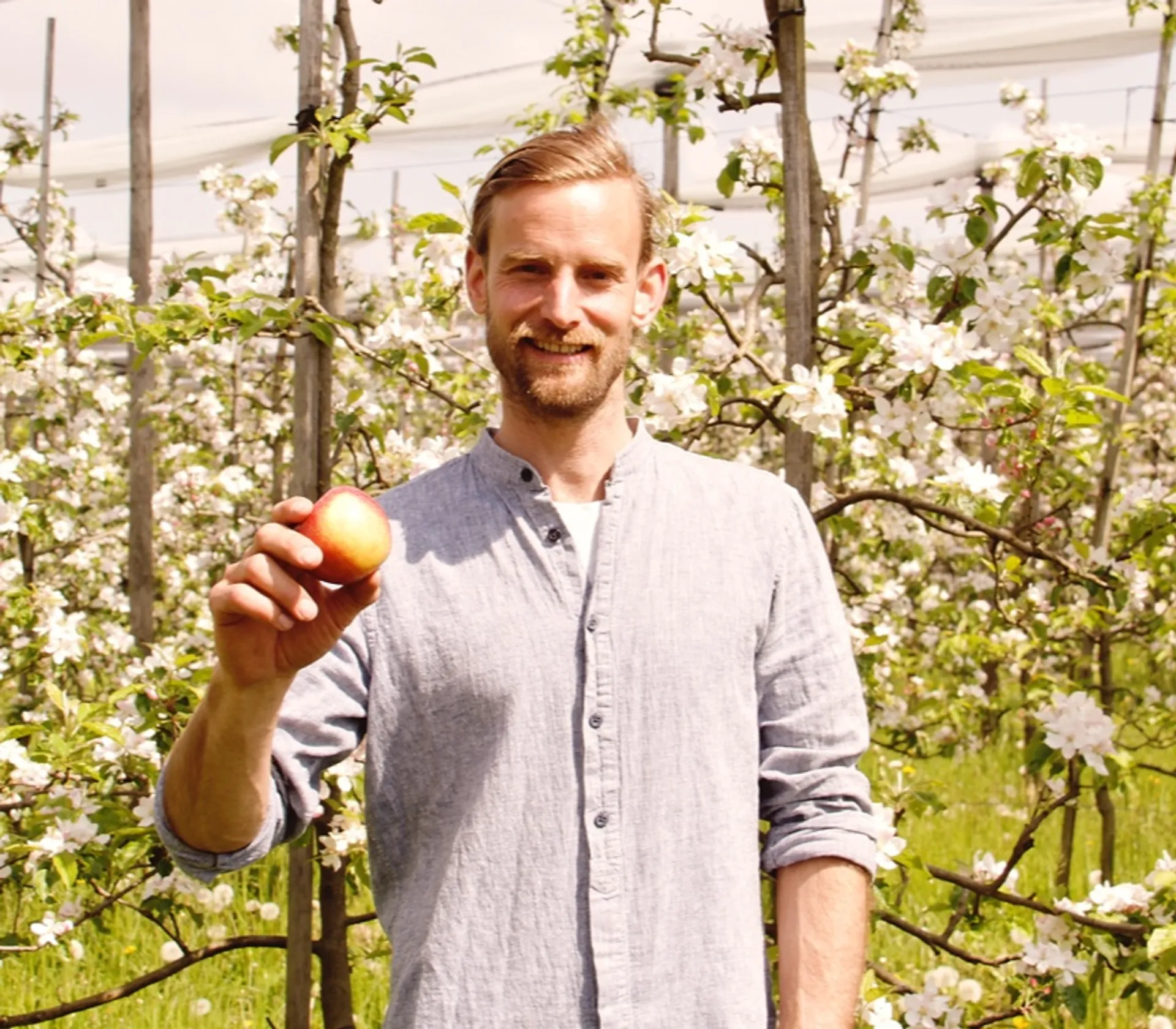 Bioland organic Natyra apples from Biohof Bentelson, Germany ...