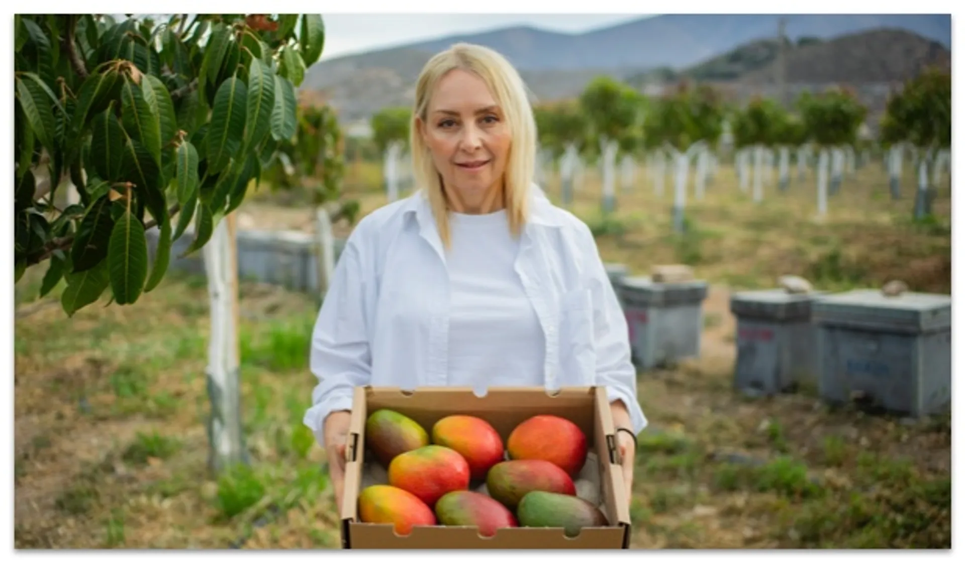 CrowdFarming | Alimentos ecológicos y de temporada directamente del ...