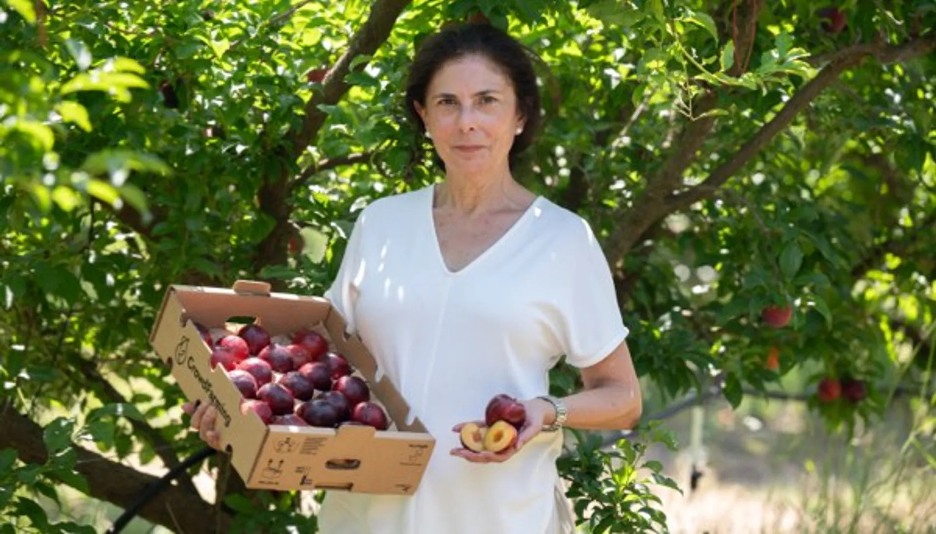 Adopt a tree from a farmer | CrowdFarming