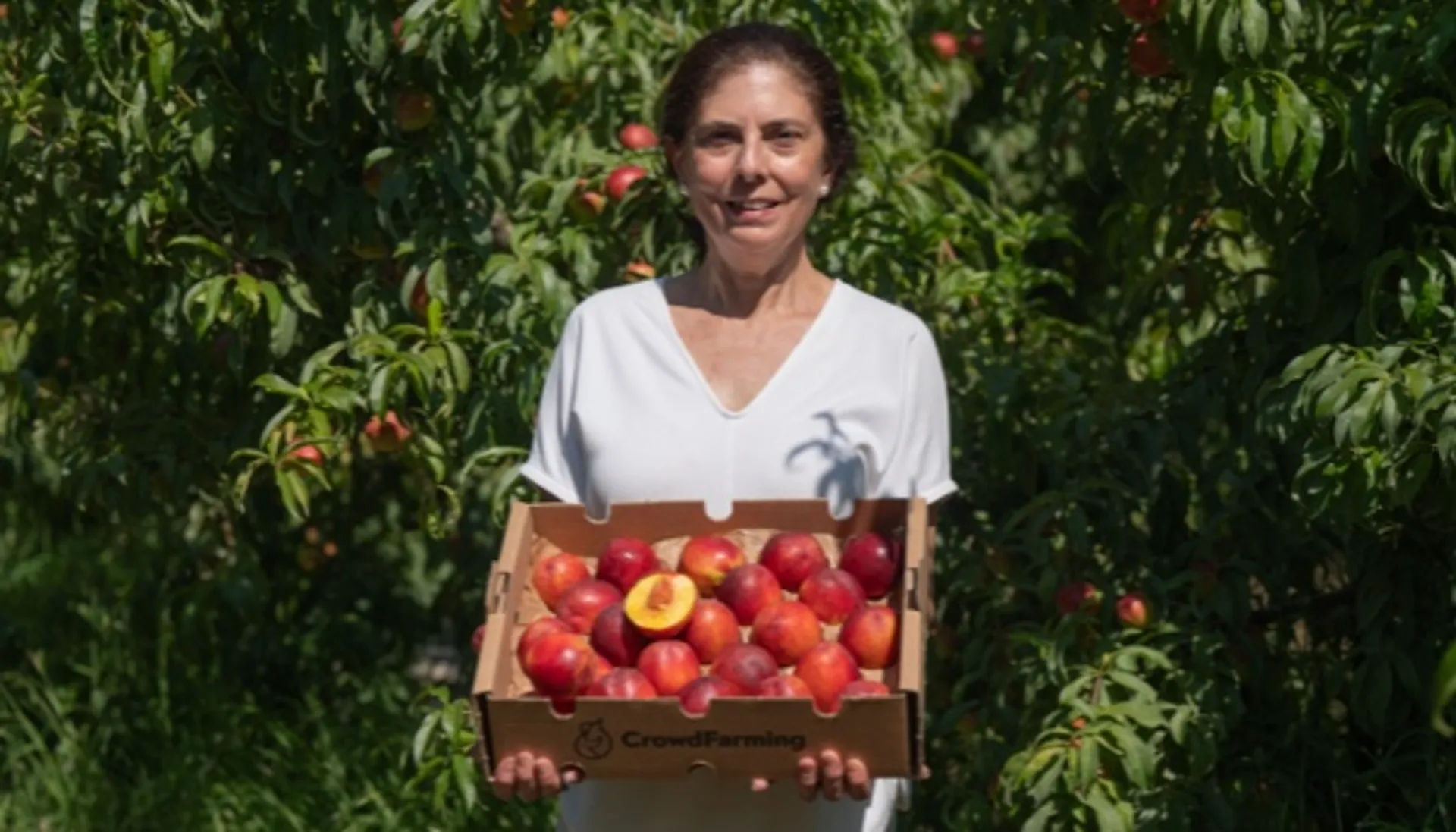 Adopt a tree from a farmer | CrowdFarming