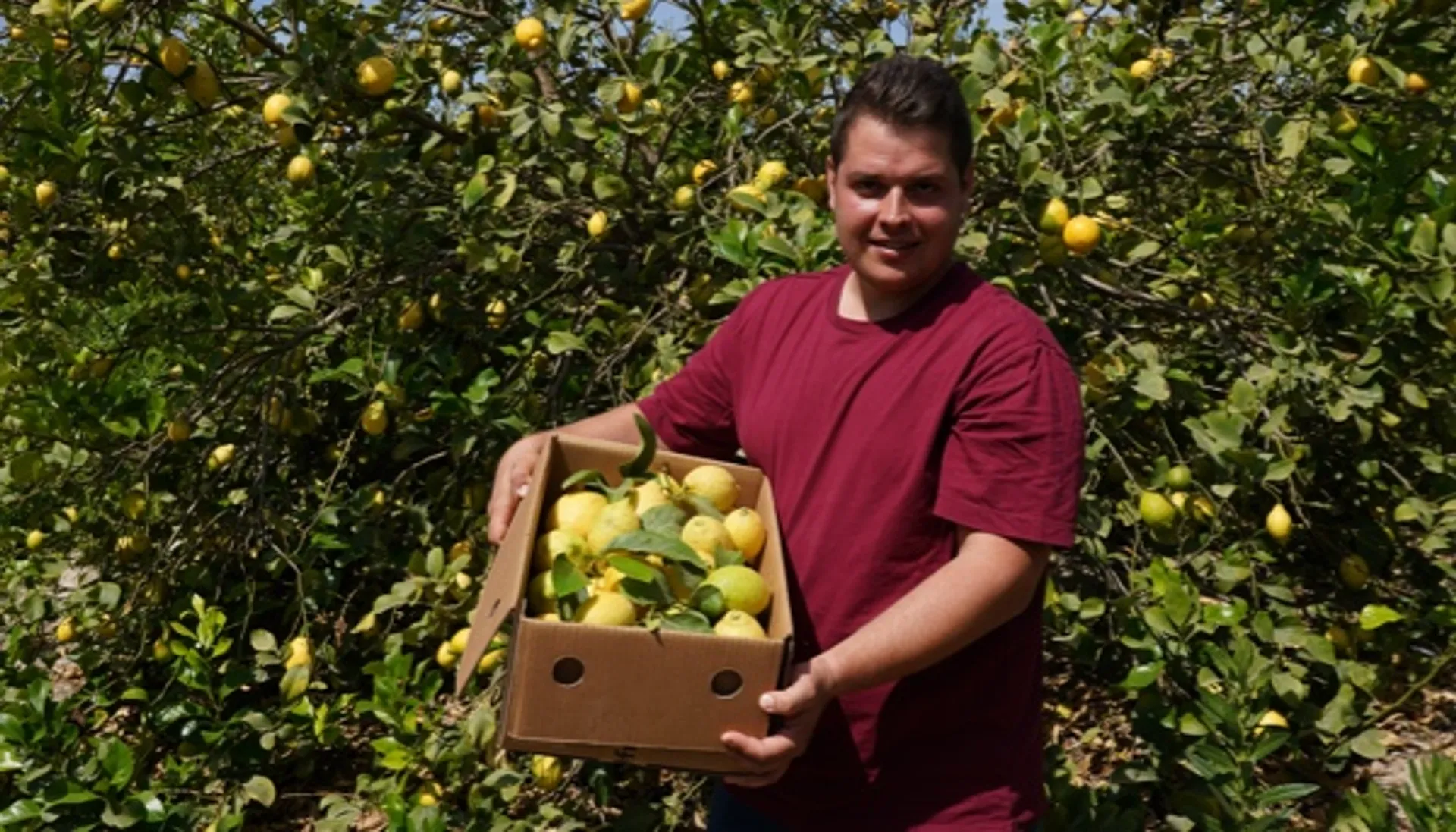 CrowdFarming | Aliments BIO et de saison directement du producteur