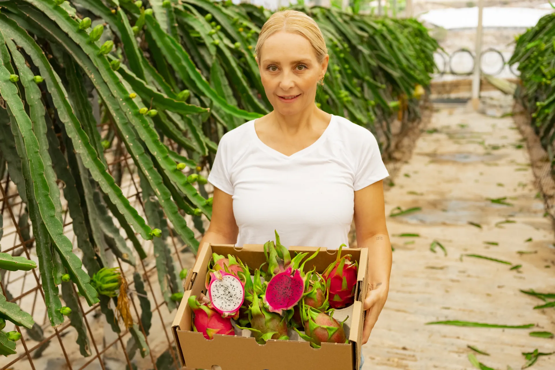 Dragon fruits di Alhambra Tropical, Spagna | CrowdFarming: frutta e ...