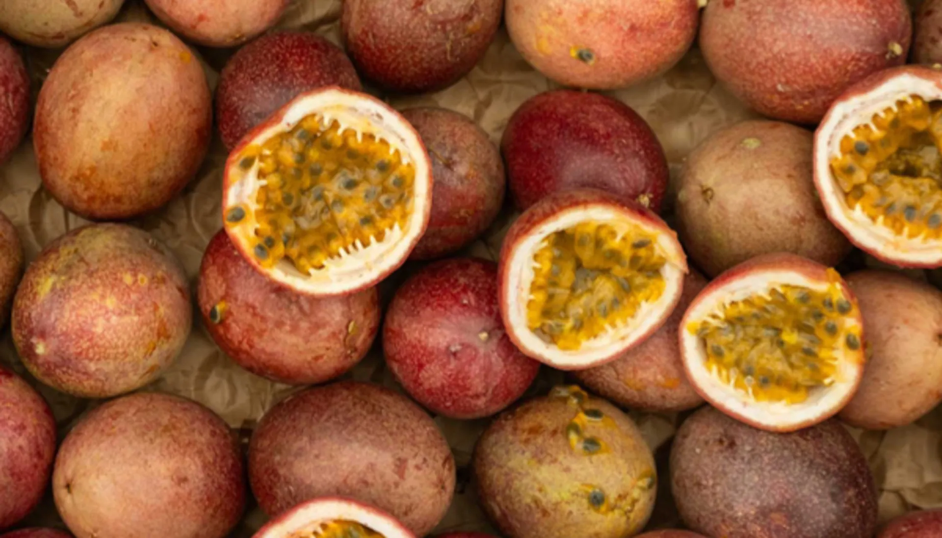 CrowdFarming | Farm fresh food directly from the farmer