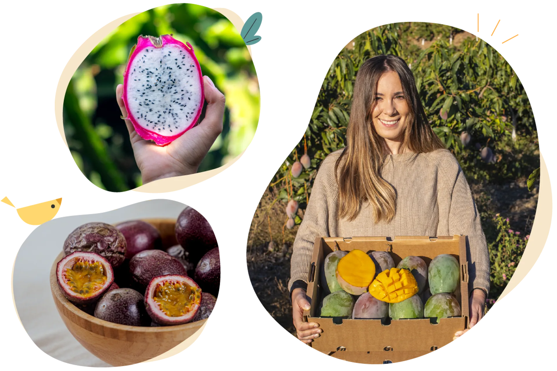 CrowdFarming | Farm fresh food directly from the farmer