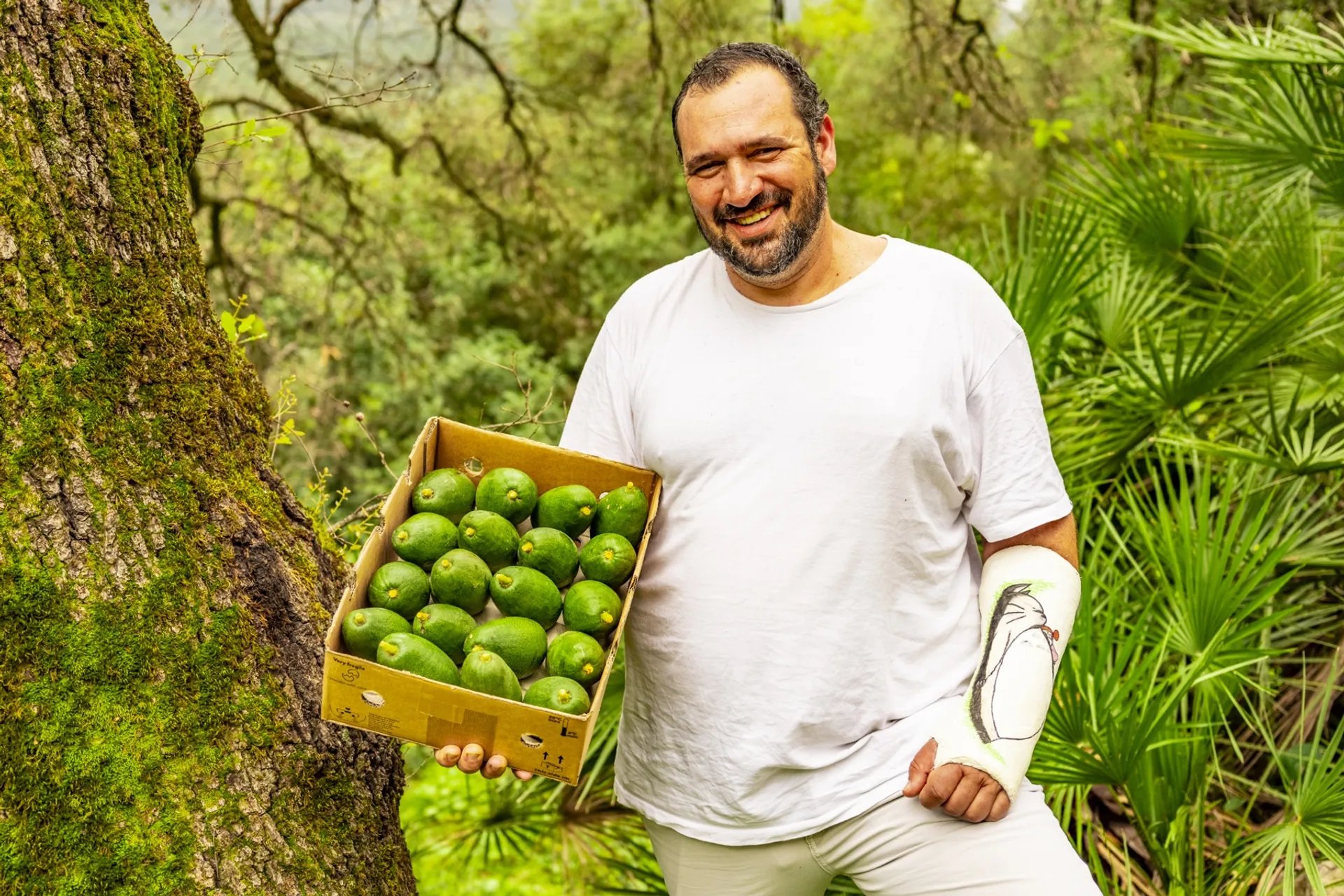 Early avocados from La Laja, Spain | CrowdFarming: farm fresh fruits ...