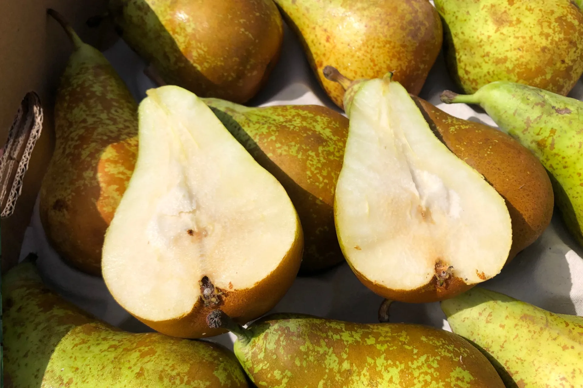 Pears from Know Jou Bio, Spain | CrowdFarming: farm fresh fruits and ...