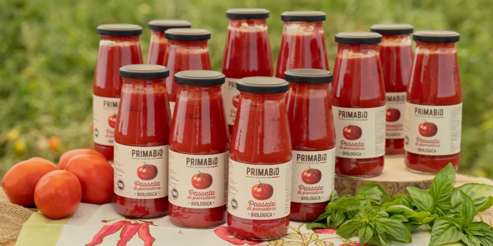 Organic tomato sauce van Prima Bio, Italië | CrowdFarming: adopteer een ...