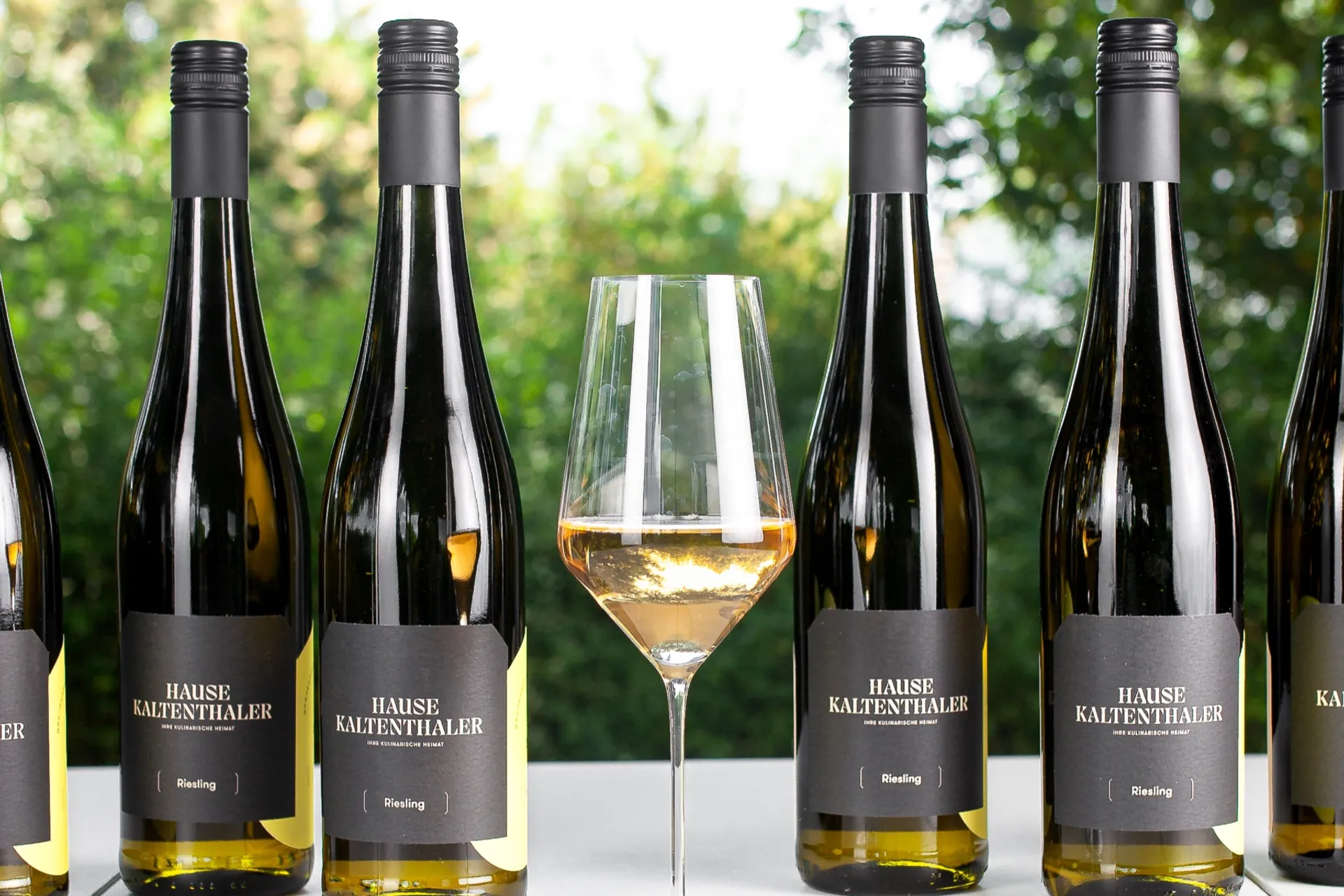 White wine Riesling PDO Rheinhessen from Hause Kaltenthaler GmbH ...