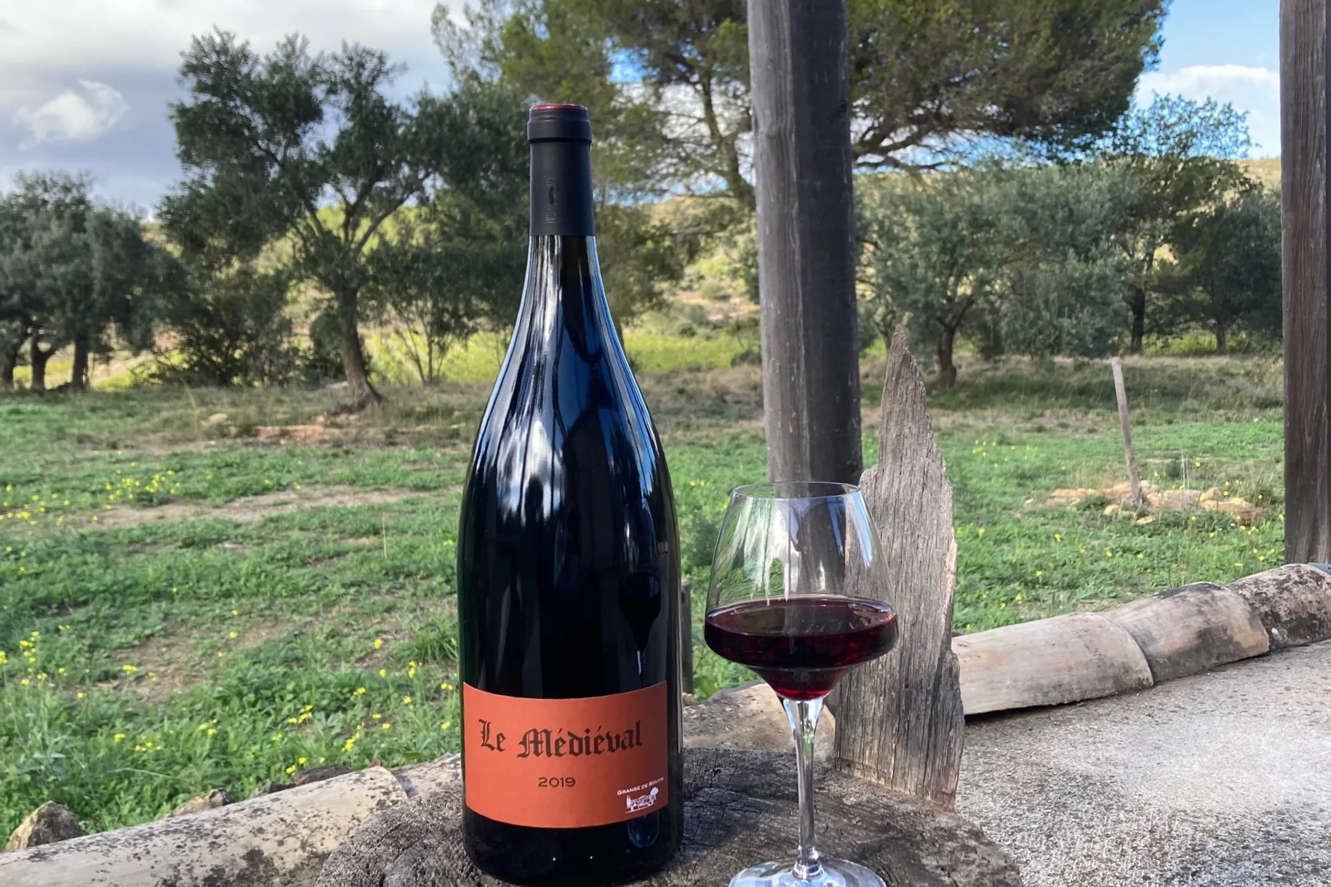 Magnum of red wine forgotten grape varieties VDF France de La Grange de ...