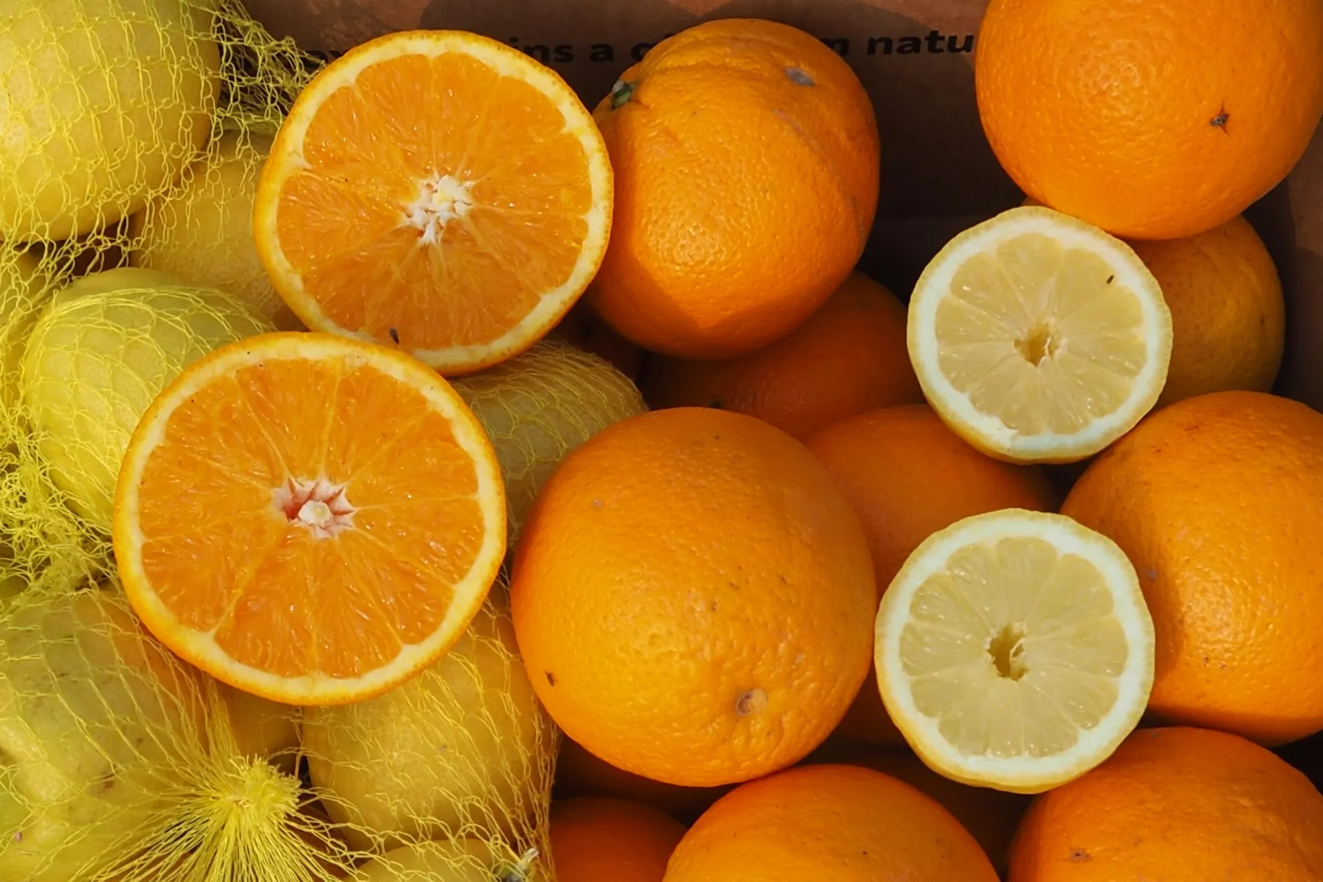 Organic oranges and lemons from Romal, Spain | CrowdFarming: farm fresh ...