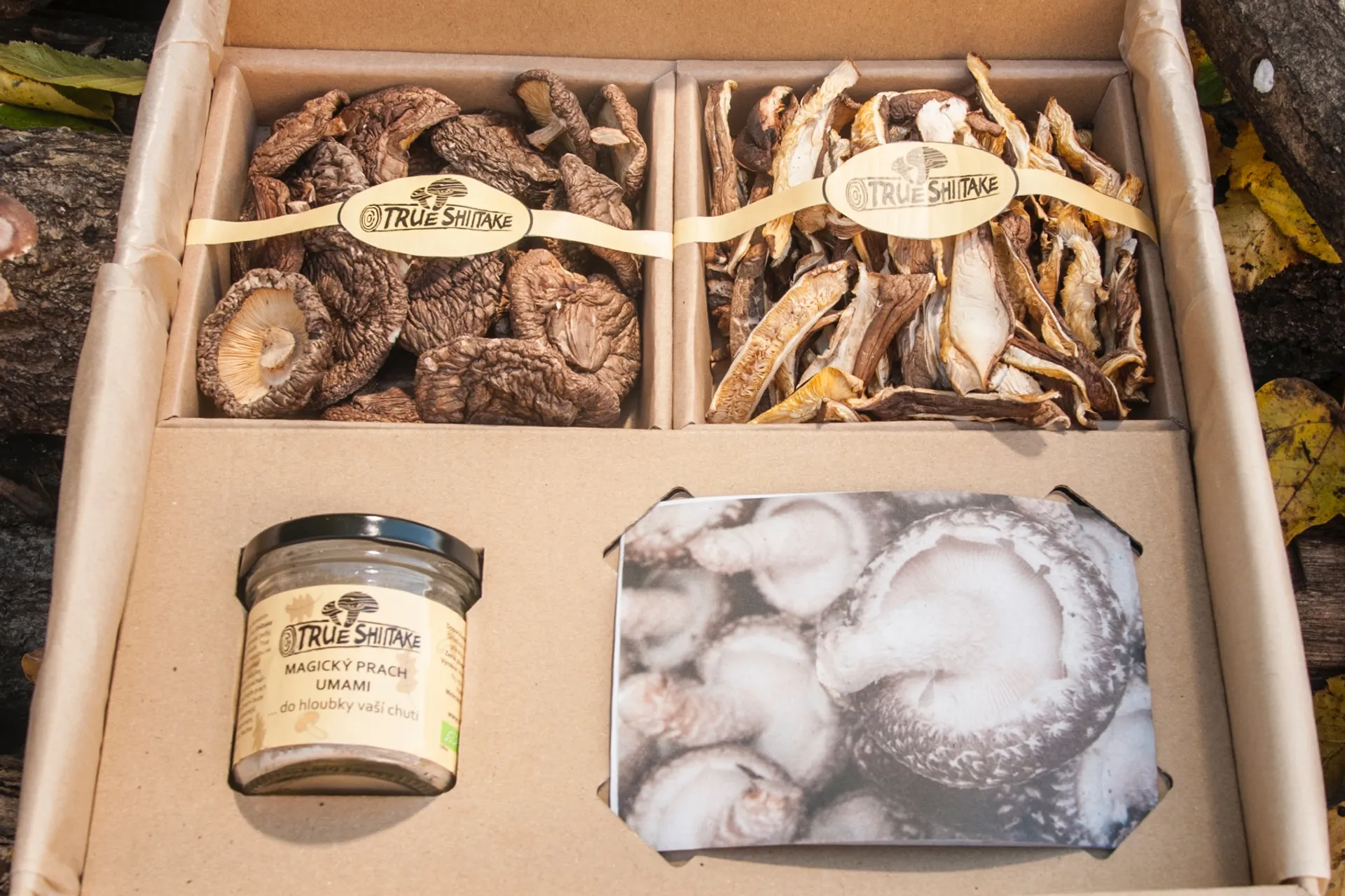 Organic shiitake gift box de True Shiitake, République Tchèque ...