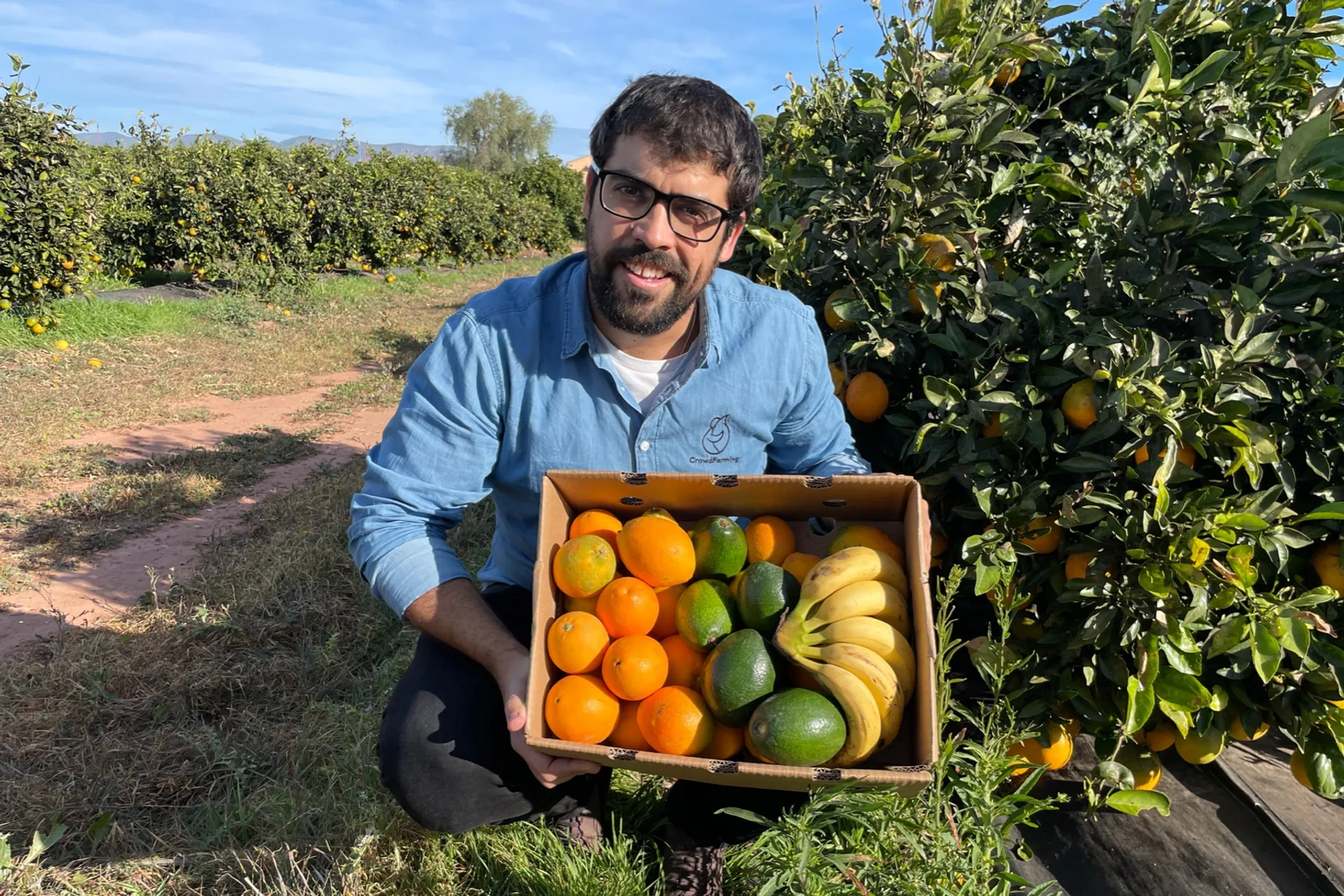 Organic oranges, Canary Island bananas and avocados from Unión de ...