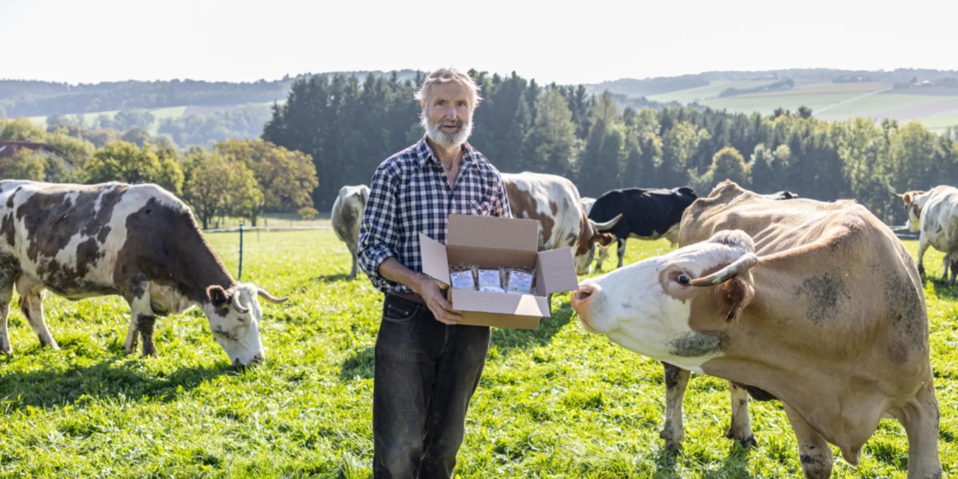 Demeter organic soft cheese de Hofkäserei Hodersberg, Allemagne ...