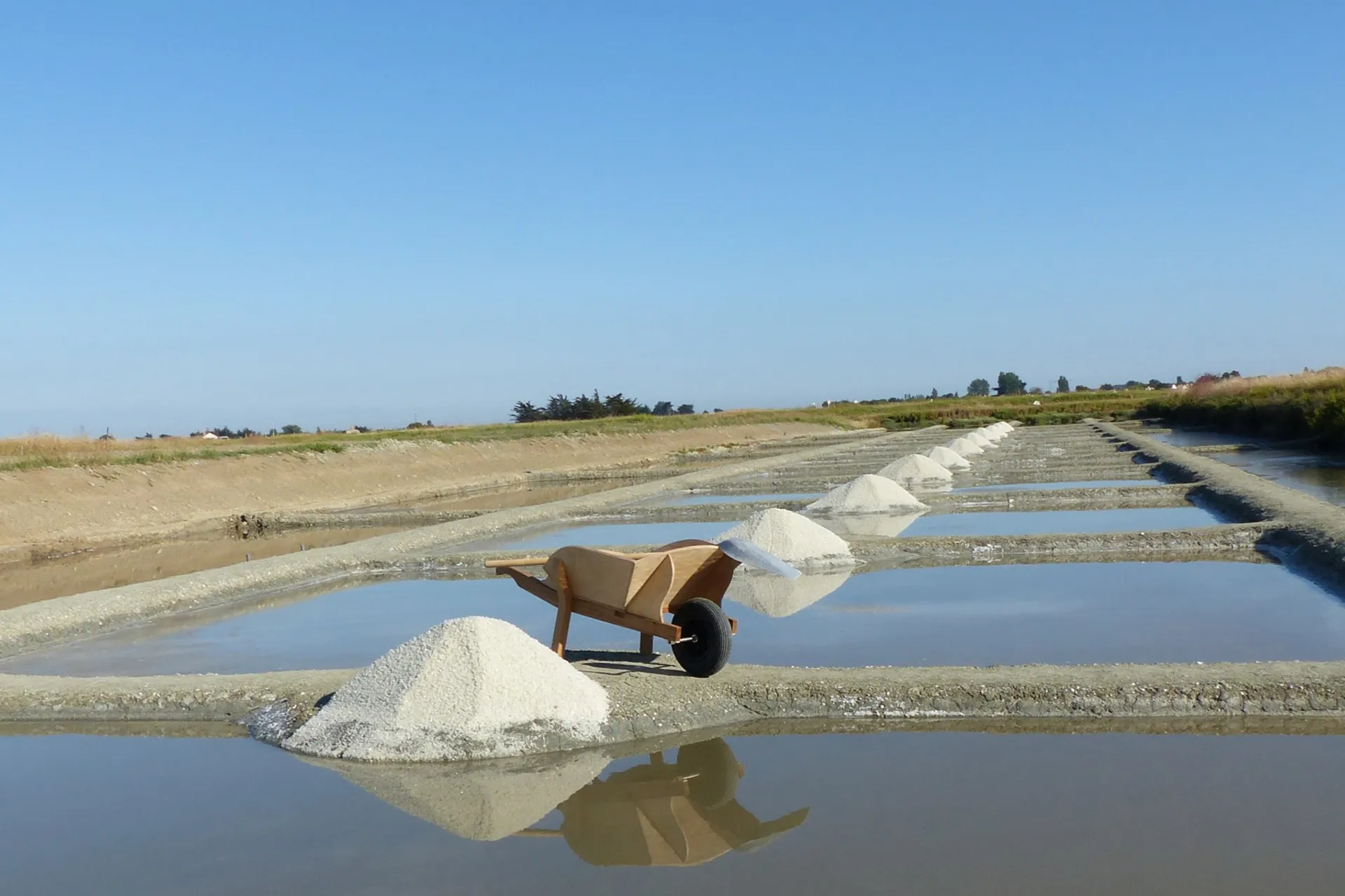 Fleur de sel et gros sel marin de Le Marais Saillant, France ...