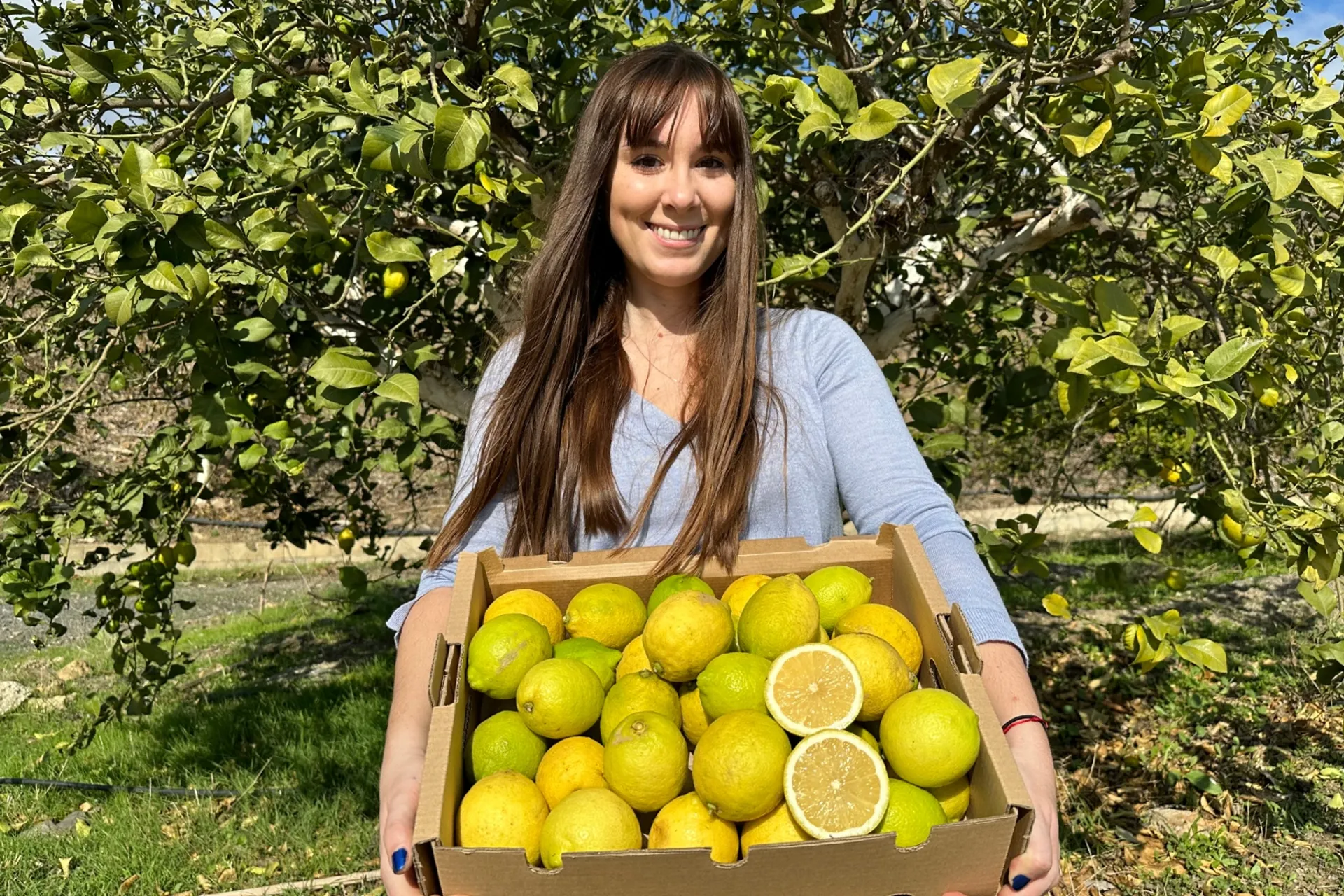 Organic lemons from Finca El Chifle, Spain | CrowdFarming: farm fresh ...