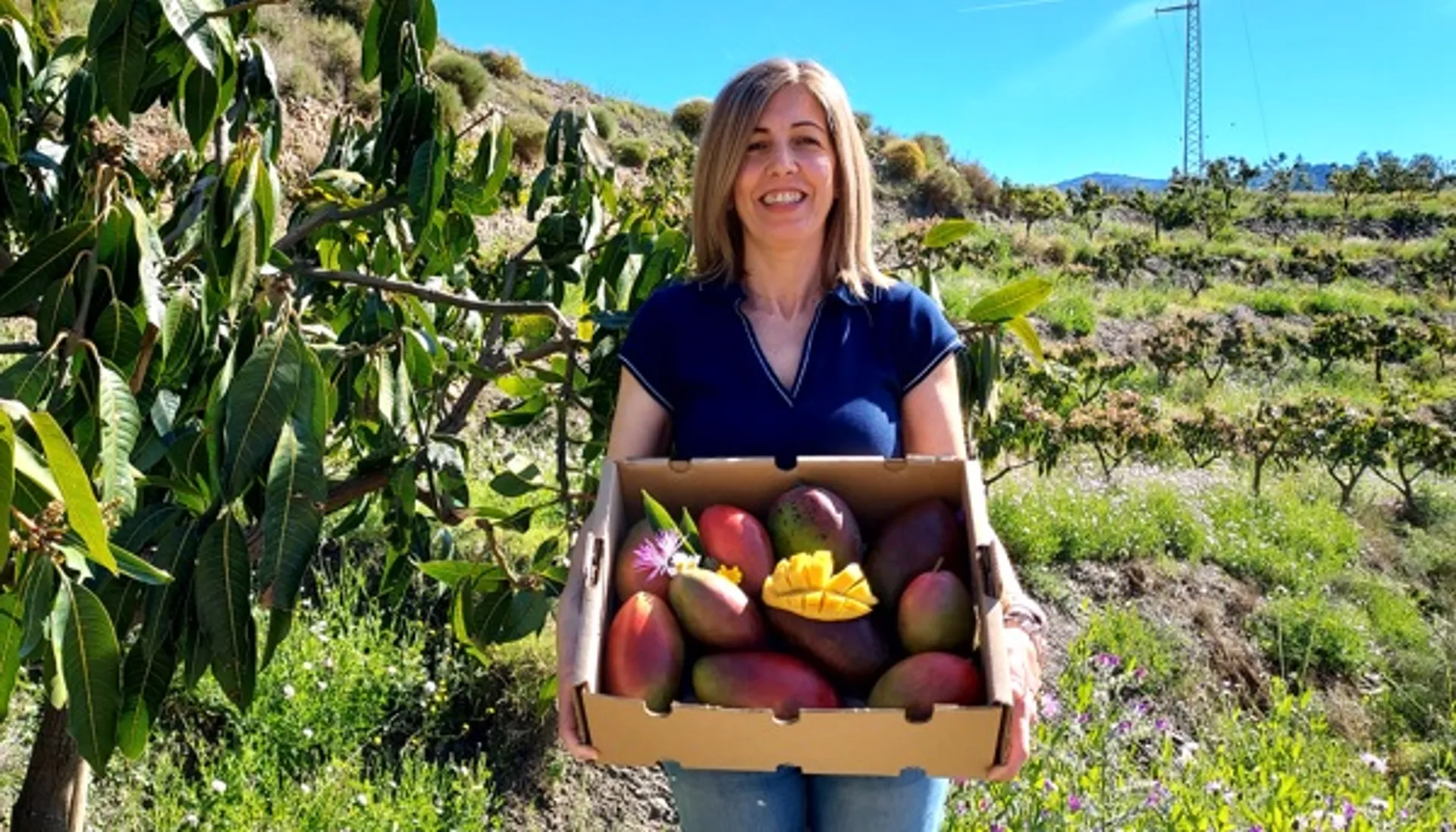 CrowdFarming | Farm fresh food directly from the farmer