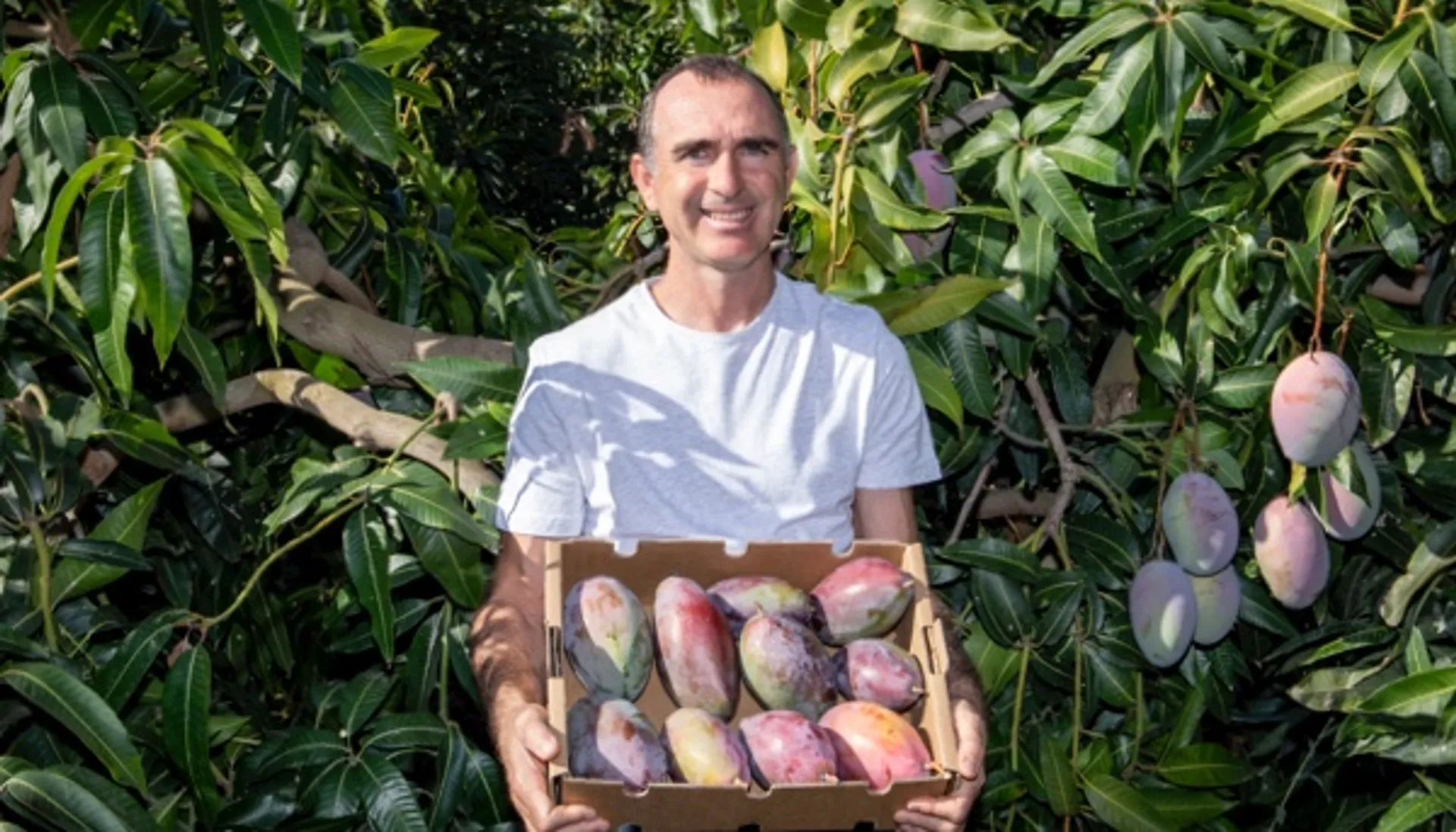 Adopt a tree from a farmer | CrowdFarming