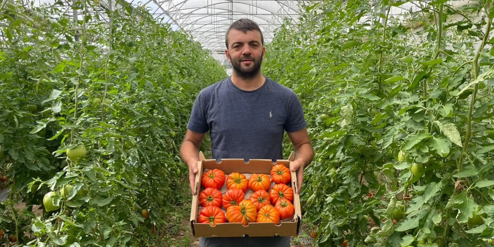 Heirloom tomatoes di Soleil Sud Bio, Francia | CrowdFarming: adotta a ...