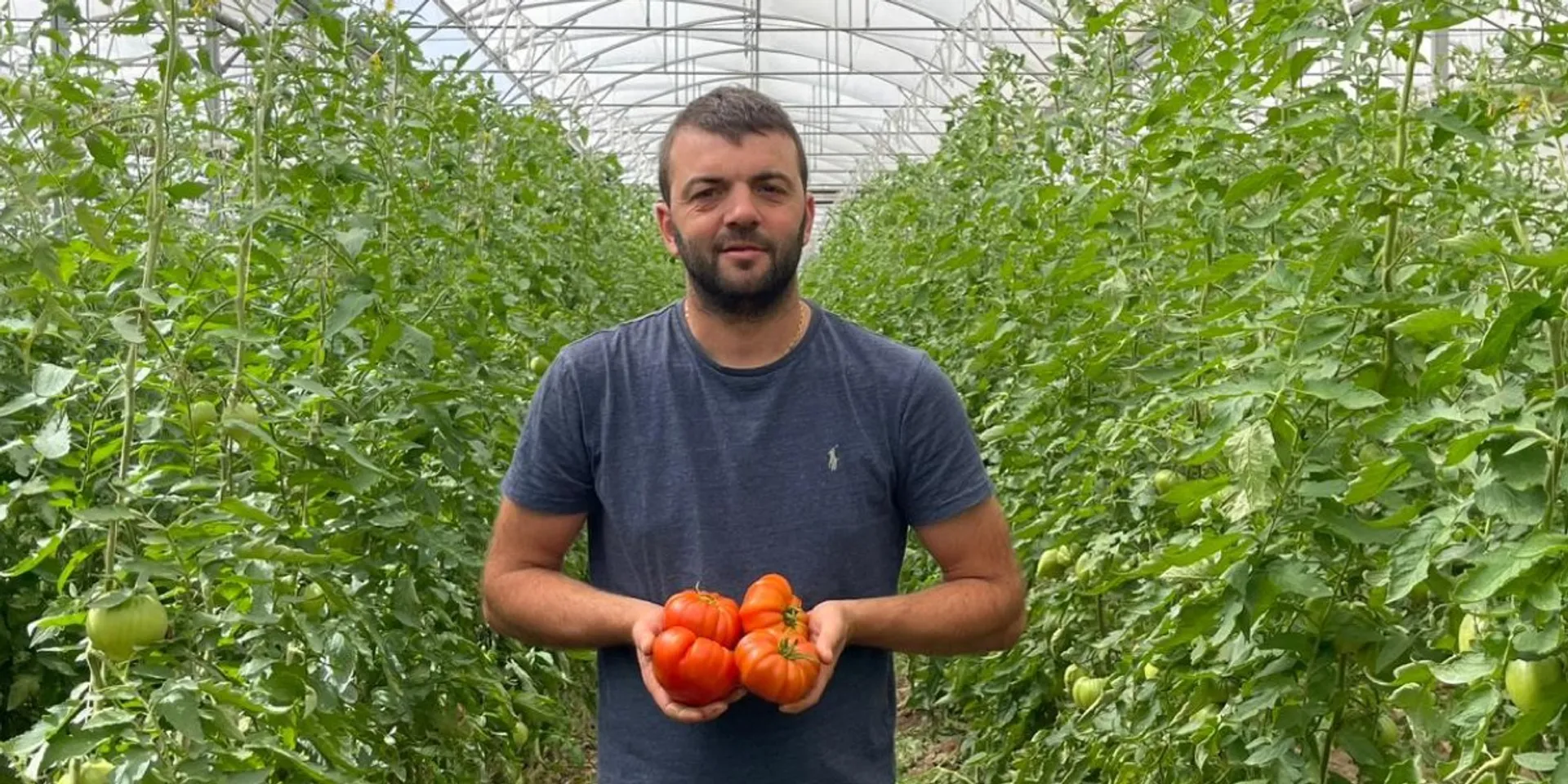 Heirloom tomatoes di Soleil Sud Bio, Francia | CrowdFarming: adotta a ...