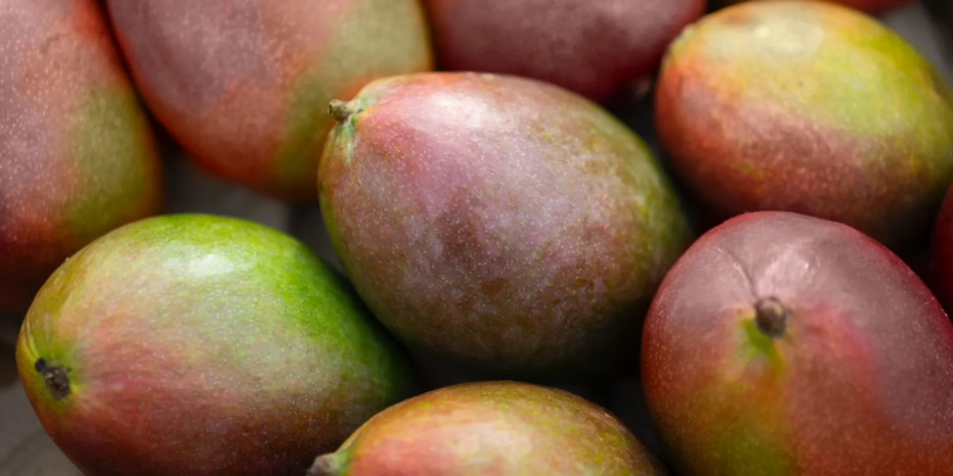 Mangos de Alhambra Tropical, España | CrowdFarming: adopta un árbol de ...